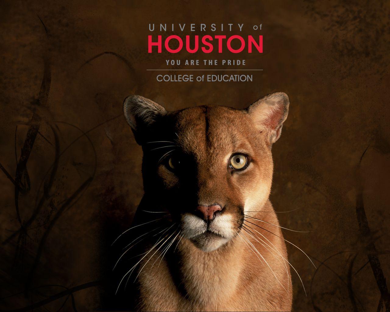 University of Houston Wallpapers - Top Free University of Houston ...