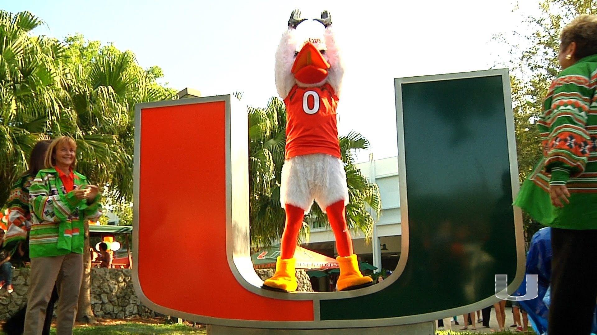 University of Miami Desktop Wallpapers - Top Free University of Miami ...