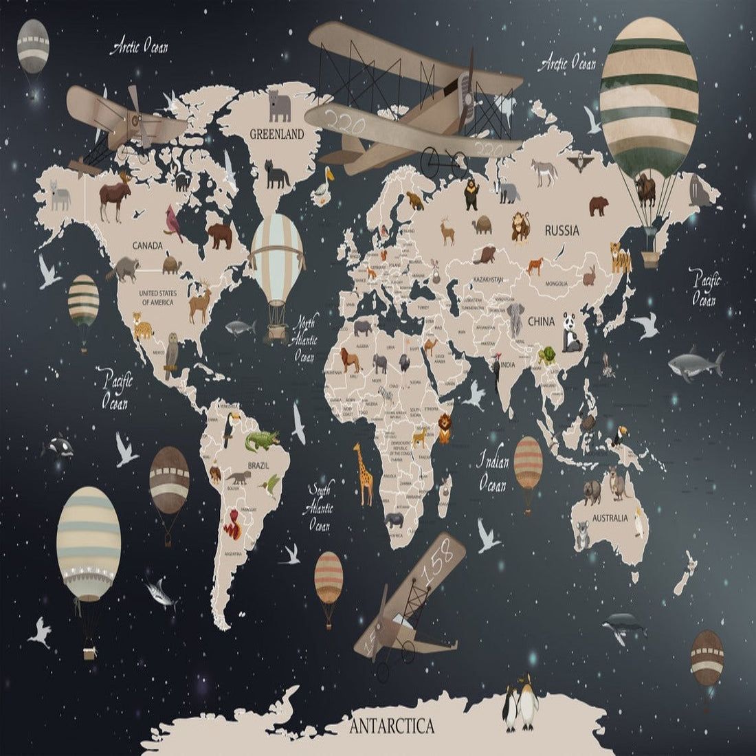 Planisphere Wallpapers - Top Free Planisphere Backgrounds - WallpaperAccess