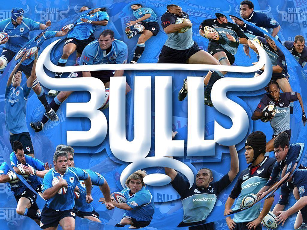 Blue Bulls Wallpapers - Top Free Blue Bulls Backgrounds - WallpaperAccess