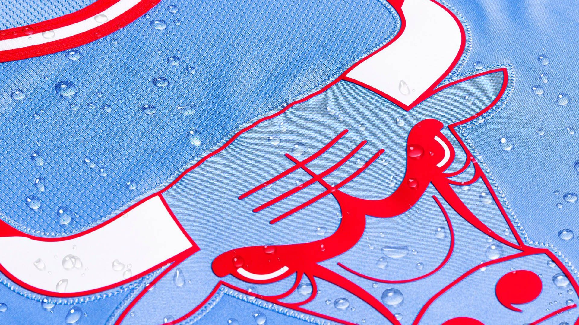 Blue Bulls Wallpapers - Top Free Blue Bulls Backgrounds - WallpaperAccess