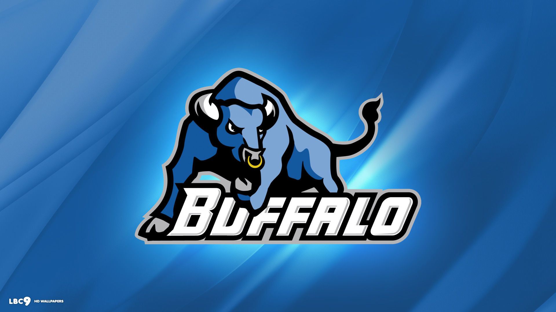 Blue Bulls Wallpapers - Top Free Blue Bulls Backgrounds - WallpaperAccess