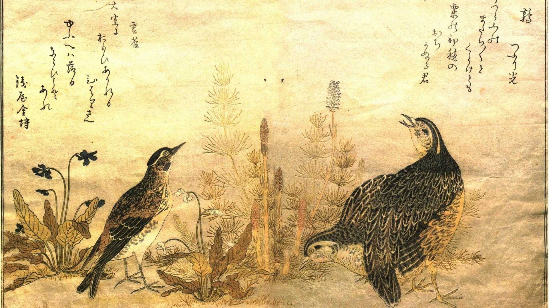 Japanese Bird Art Wallpapers - Top Free Japanese Bird Art Backgrounds ...