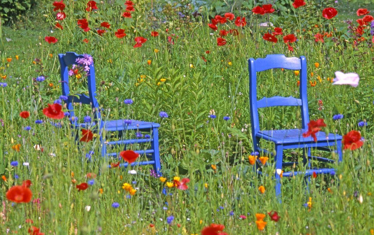 Summer Garden Wallpapers - Top Free Summer Garden Backgrounds ...