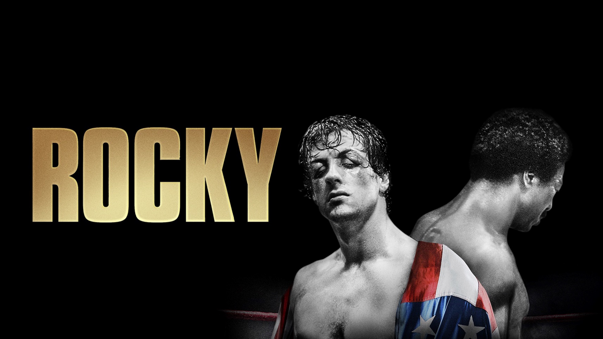 Rocky Boxing Wallpapers - Top Free Rocky Boxing Backgrounds ...