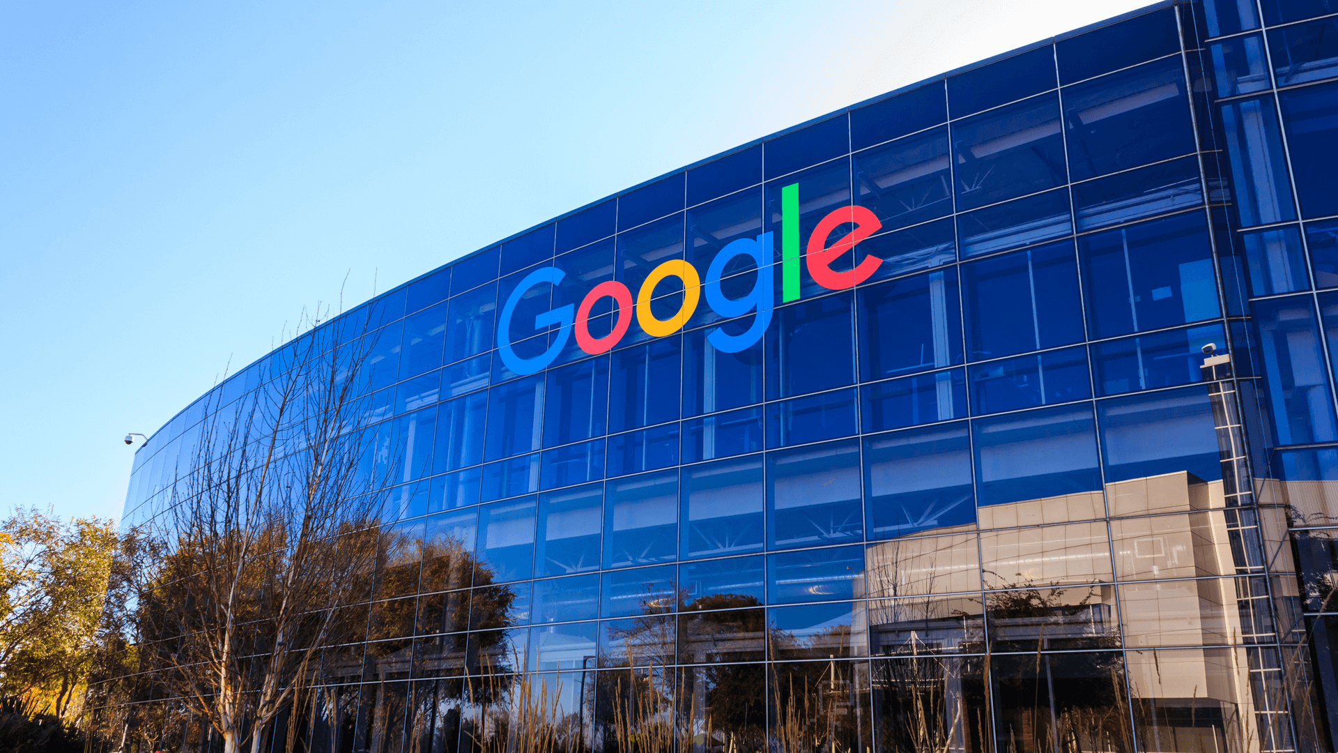 Google Company Wallpapers - Top Free Google Company Backgrounds ...
