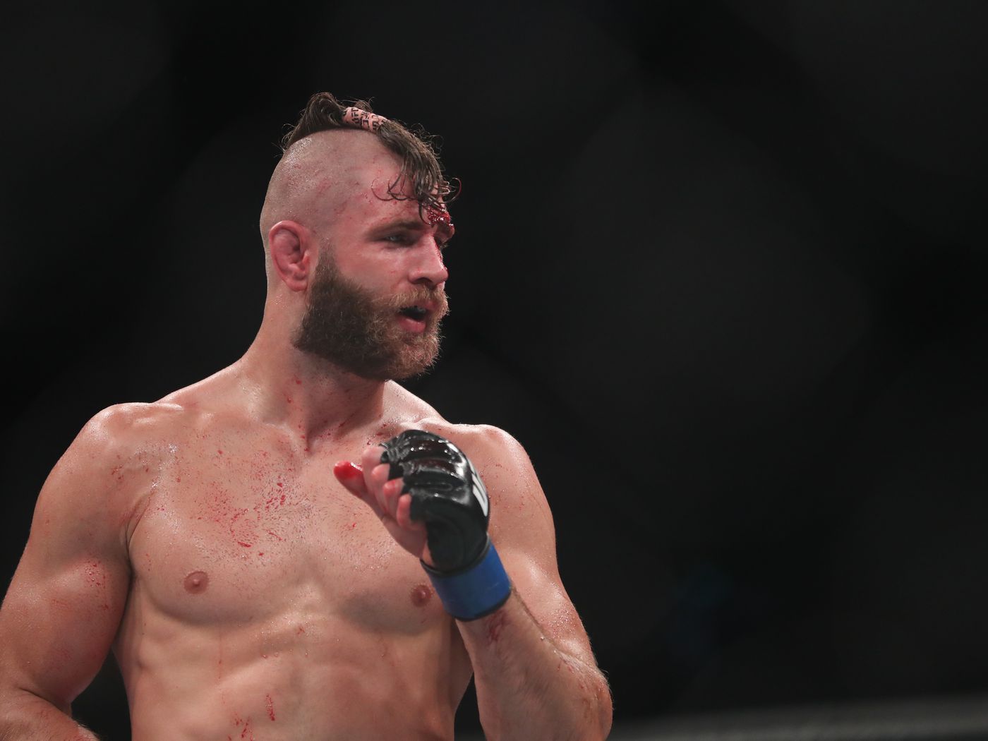 Jiri Prochazka Wallpapers - Top Free Jiri Prochazka Backgrounds ...