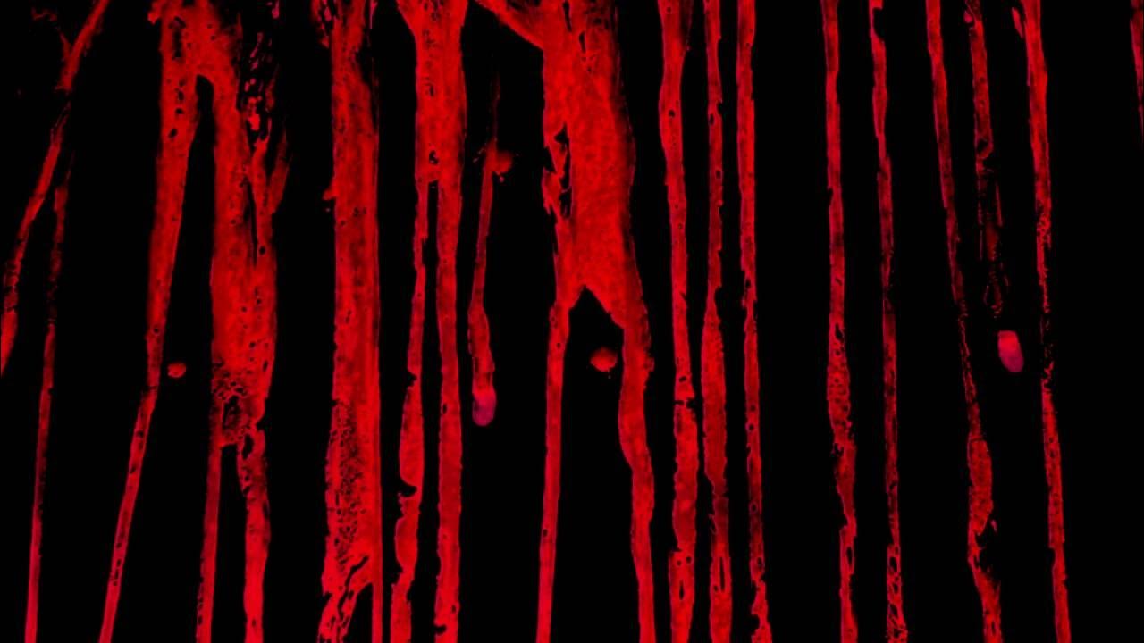 Blood Dripping Wallpapers - Top Free Blood Dripping Backgrounds ...
