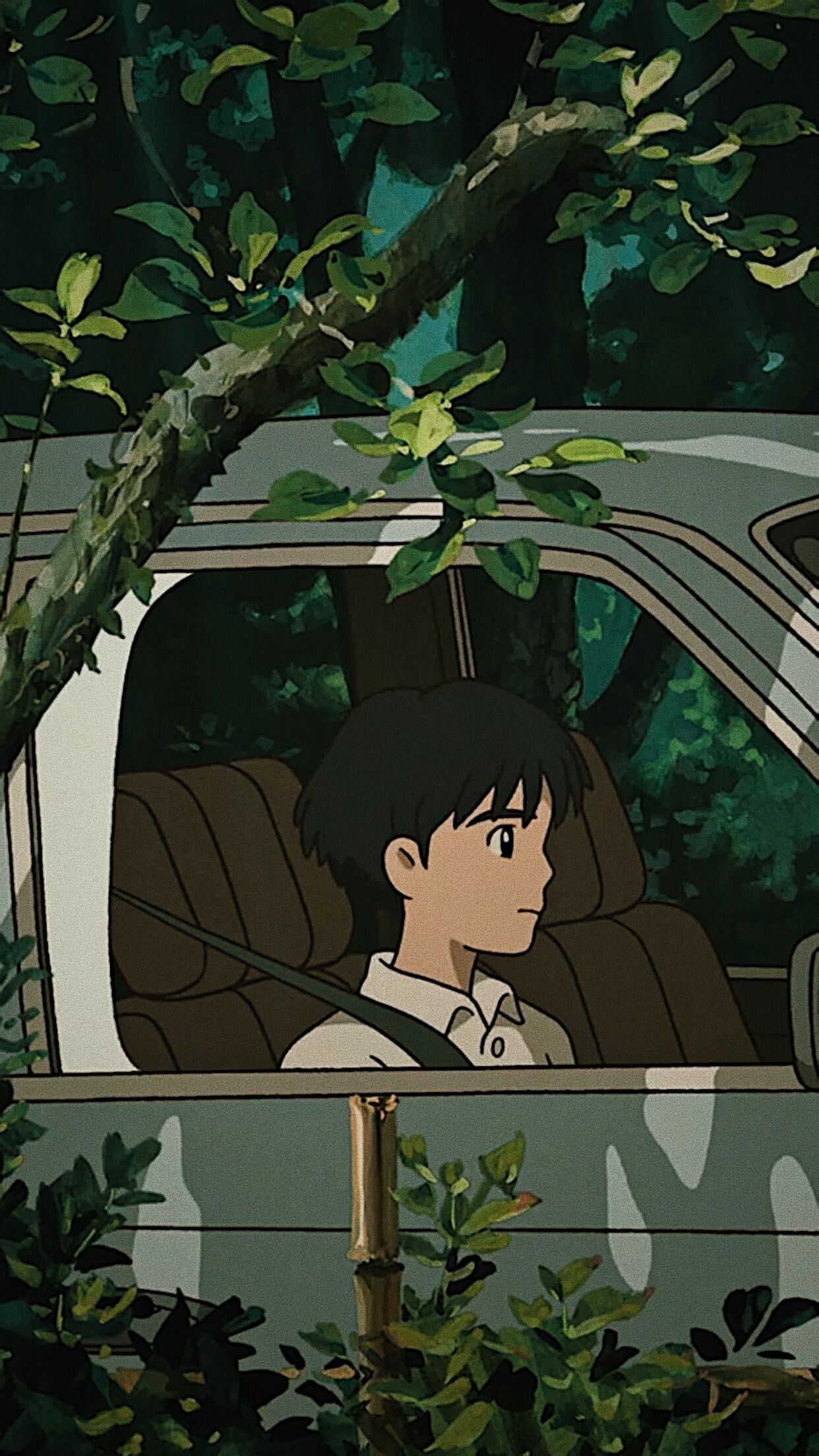 Arietti Wallpapers - Top Free Arietti Backgrounds - WallpaperAccess