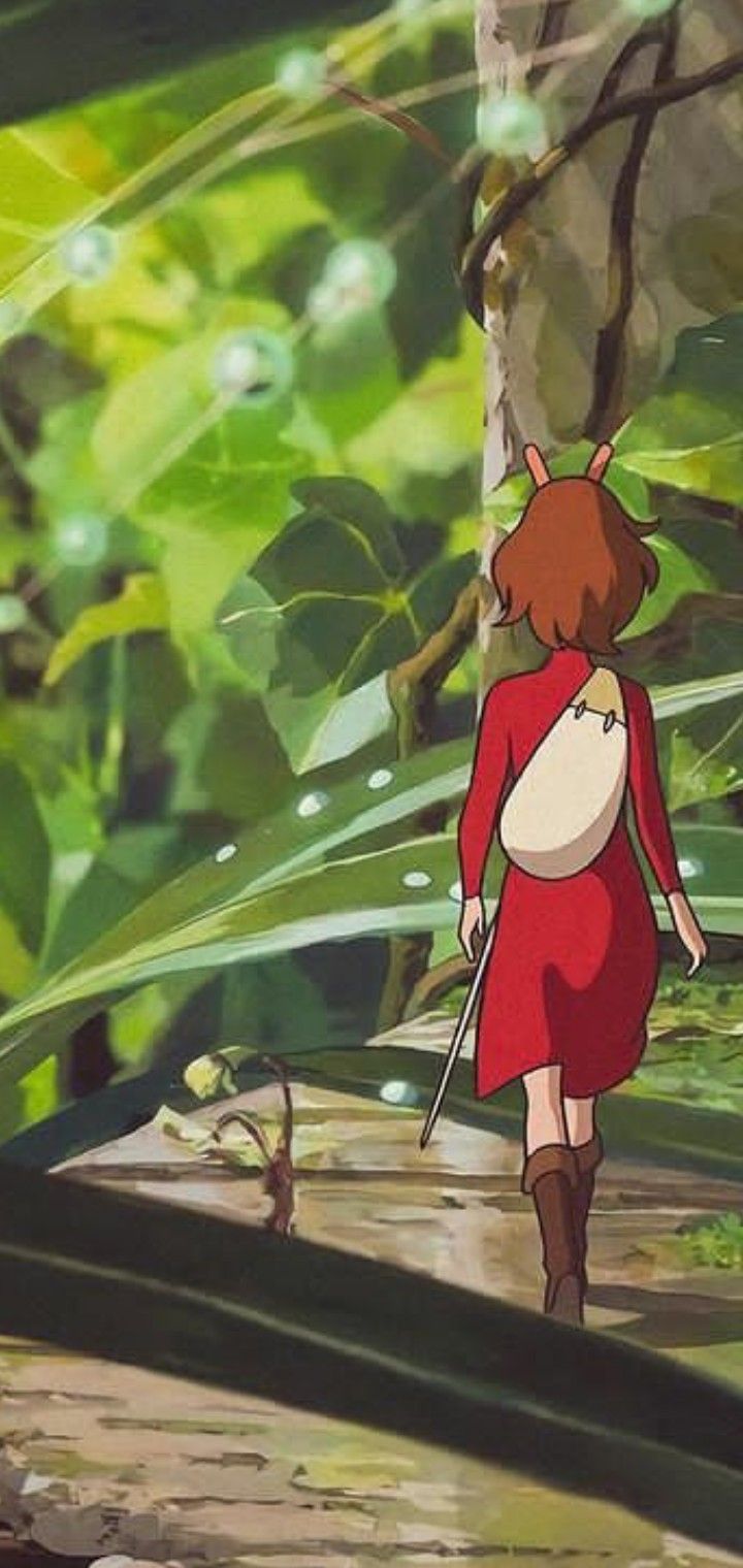 Arietti Wallpapers - Top Free Arietti Backgrounds - WallpaperAccess