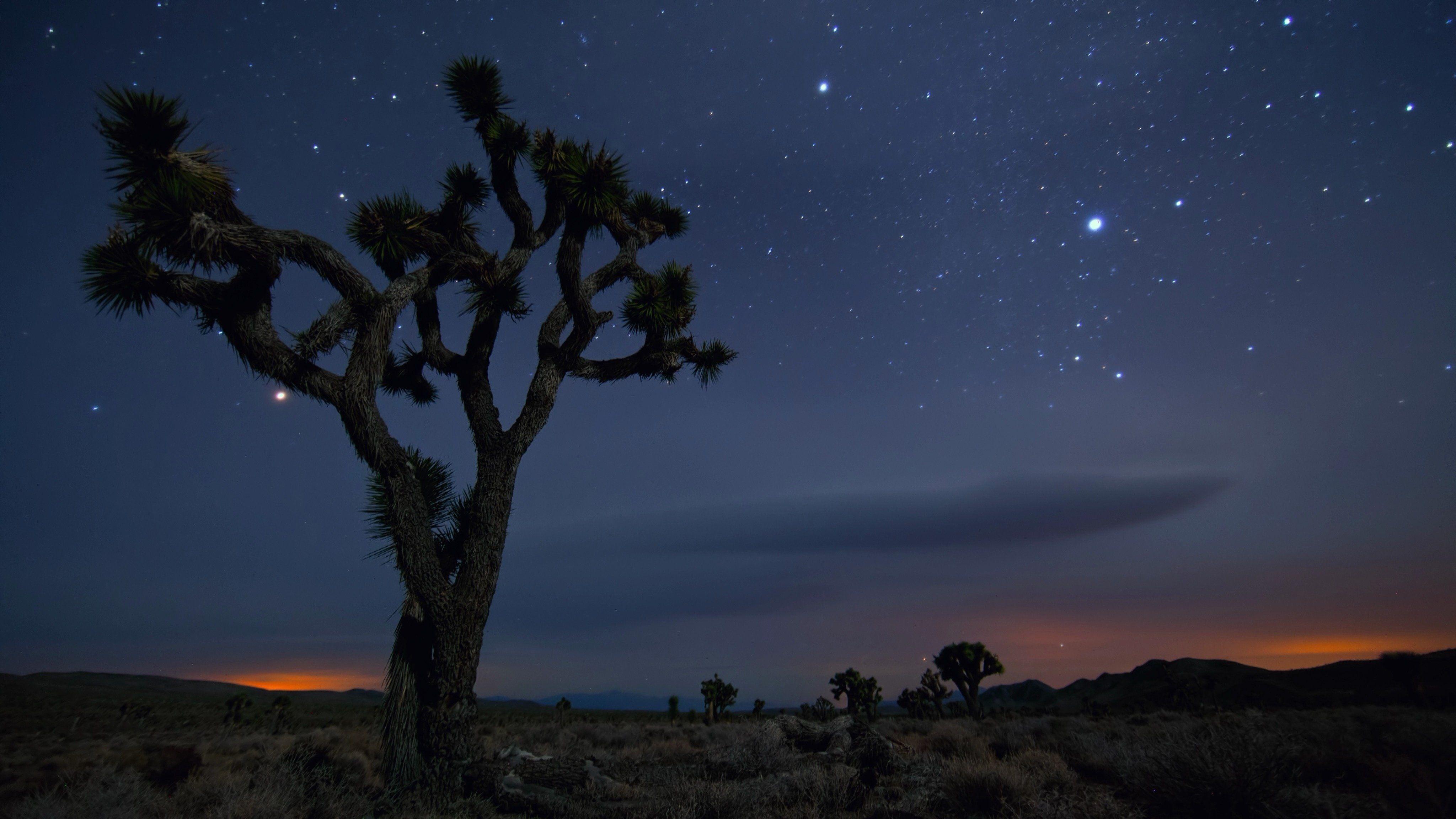 Desert Stars Wallpapers - Top Free Desert Stars Backgrounds ...