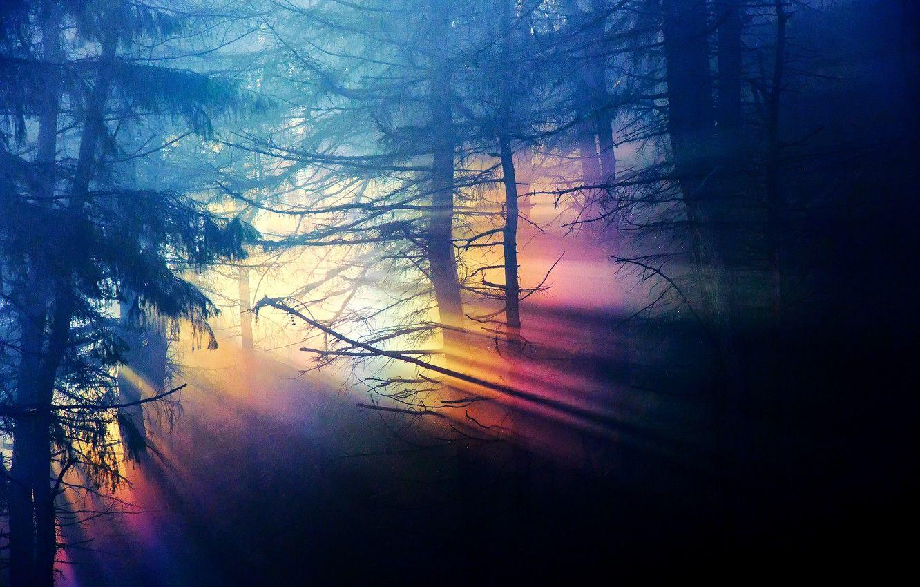 Rainbow Forest Wallpapers - Top Free Rainbow Forest Backgrounds ...