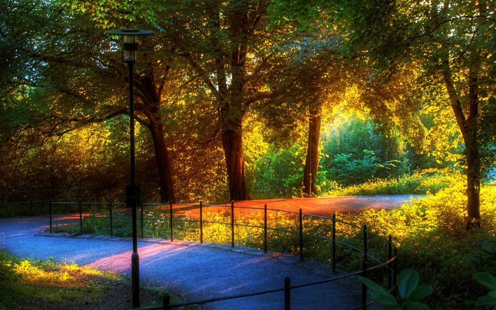 Rainbow Forest Wallpapers - Top Free Rainbow Forest Backgrounds ...