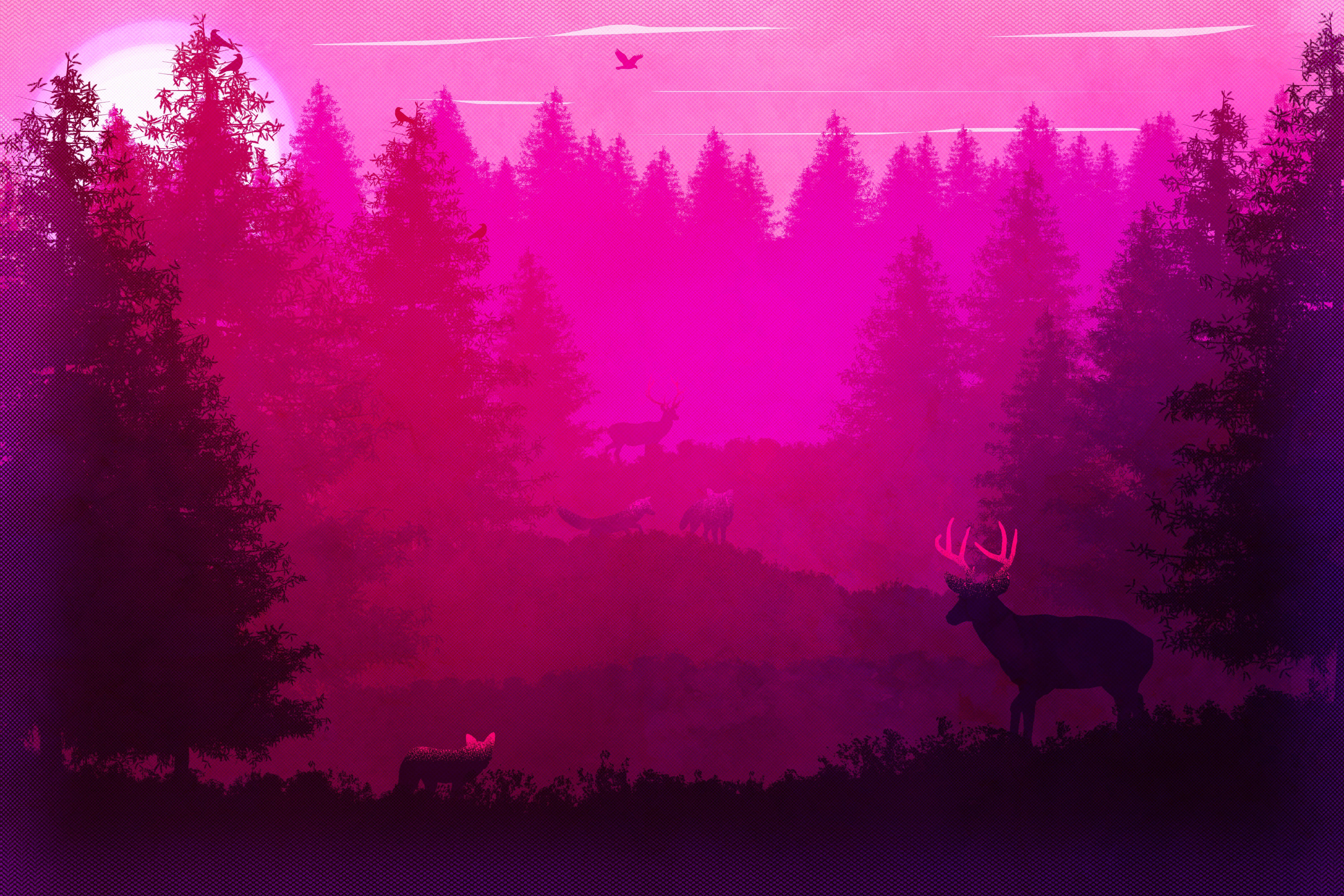 Pink Forest Wallpapers - Top Free Pink Forest Backgrounds - WallpaperAccess