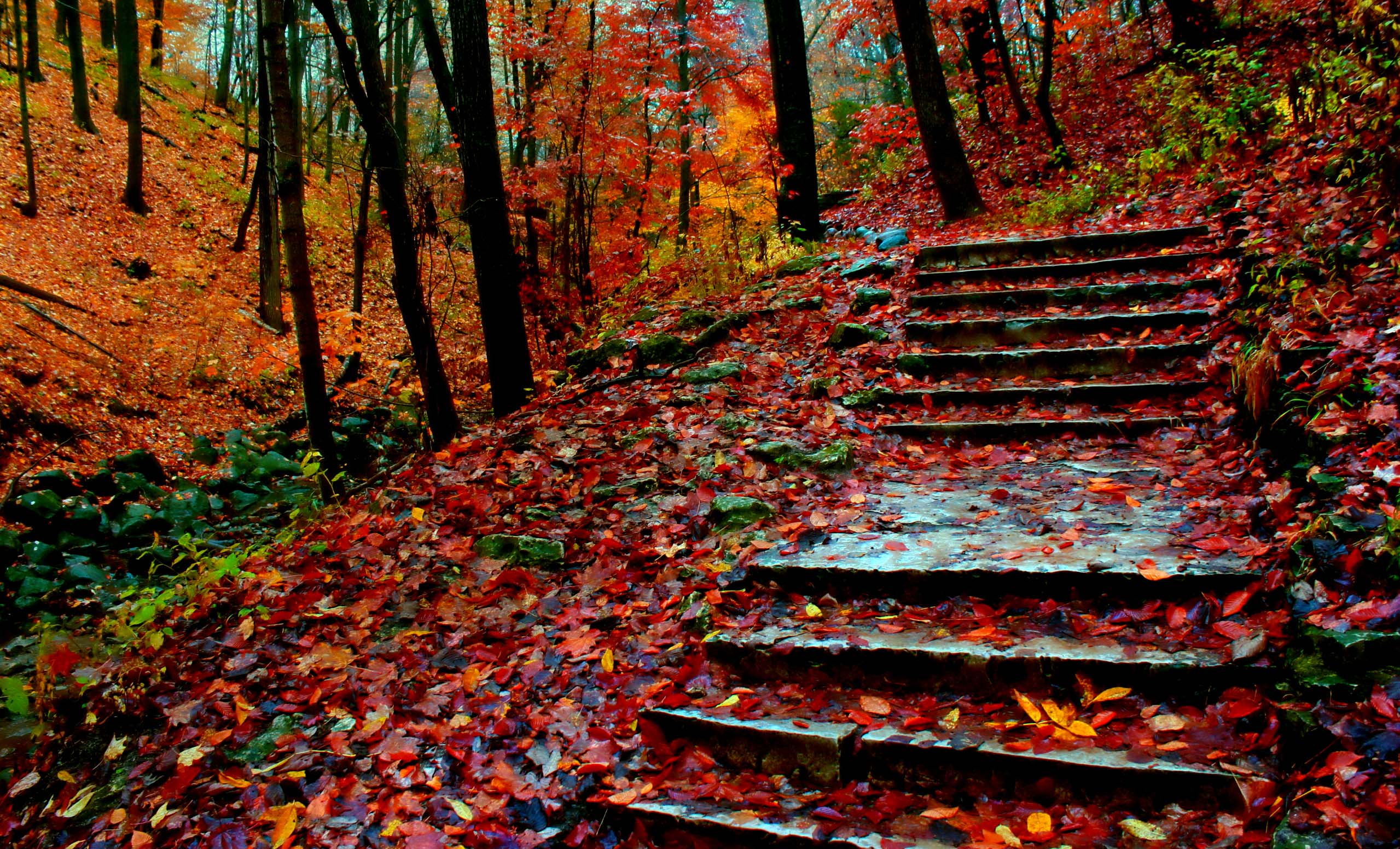 Autumn Laptop Wallpapers - Top Free Autumn Laptop Backgrounds ...