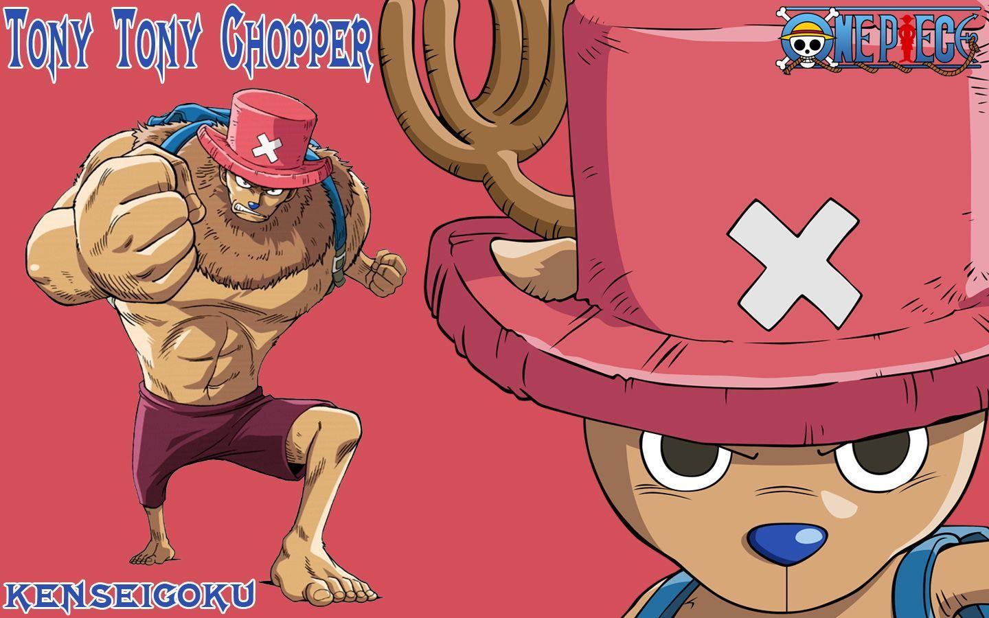 Tony Tony Chopper Wallpapers - Top Free Tony Tony Chopper Backgrounds ...