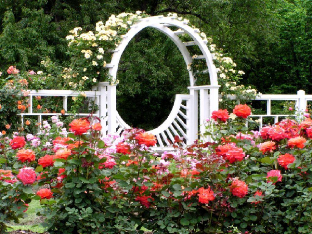 Rose Garden Desktop Wallpapers - Top Free Rose Garden Desktop ...