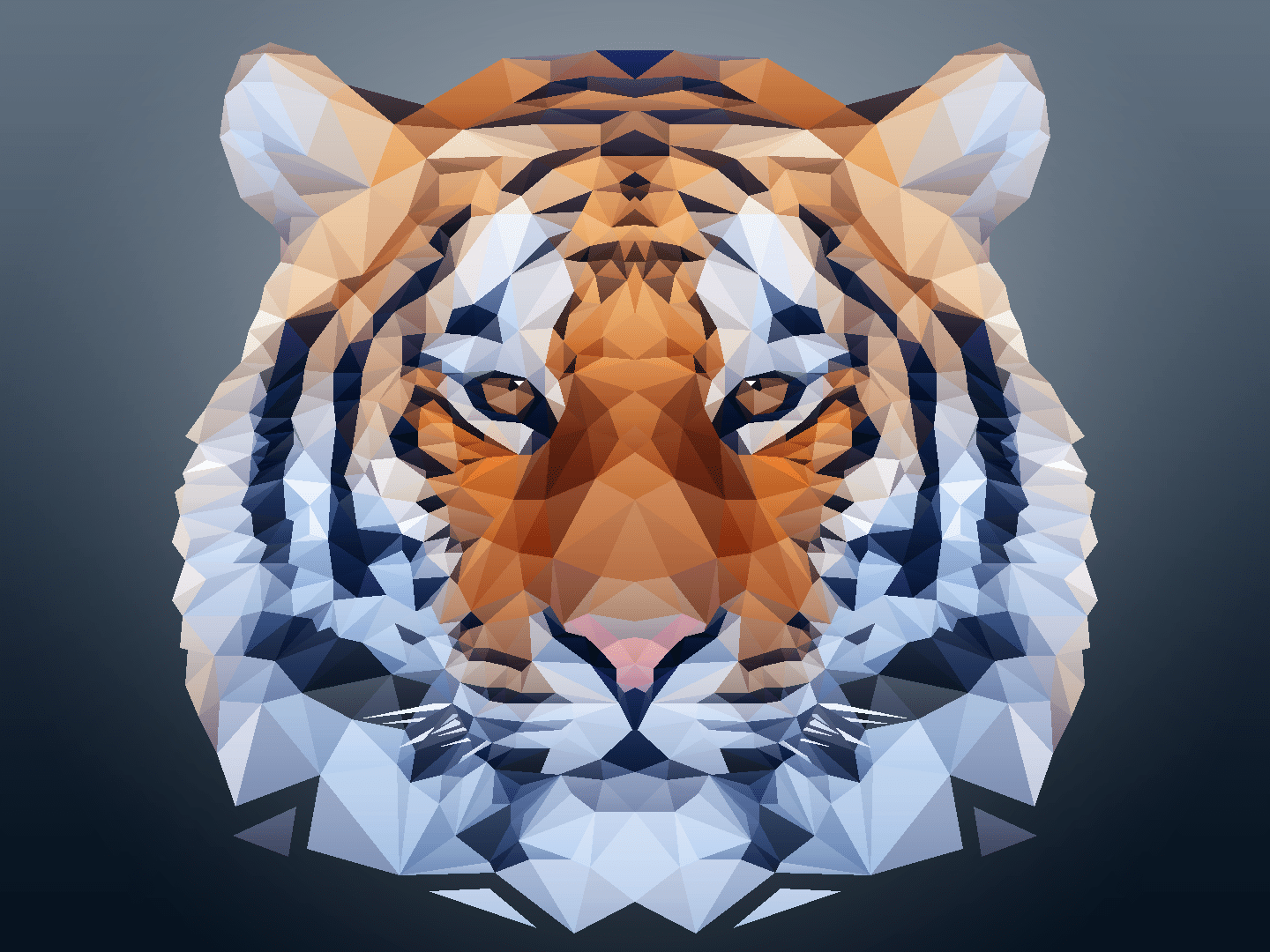 Polygon Tiger Wallpapers - Top Free Polygon Tiger Backgrounds ...