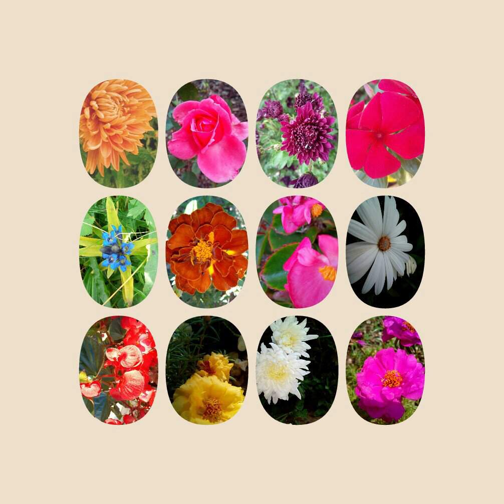 Loona Wallpapers - Top Free Loona Backgrounds - WallpaperAccess