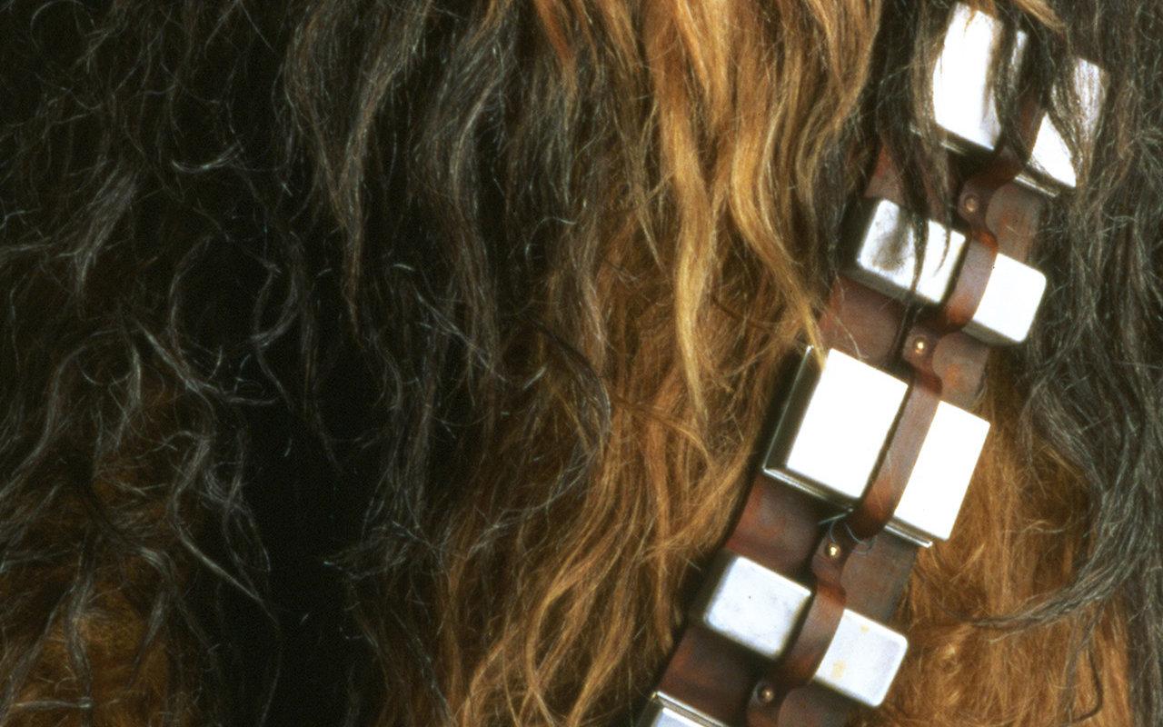 Chewbacca Wallpapers - Top Free Chewbacca Backgrounds - WallpaperAccess
