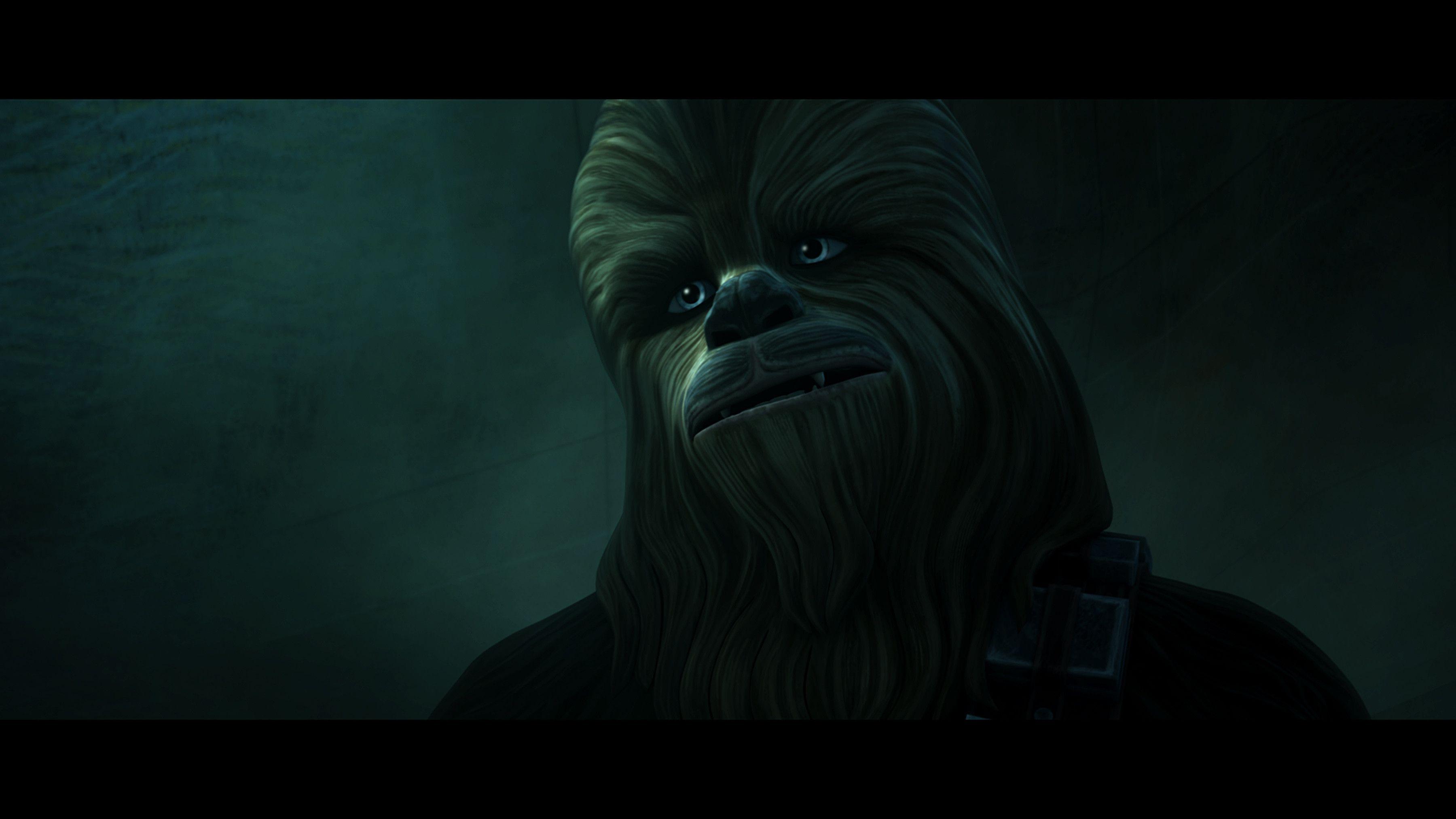 Wookie Wallpapers - Top Free Wookie Backgrounds - WallpaperAccess