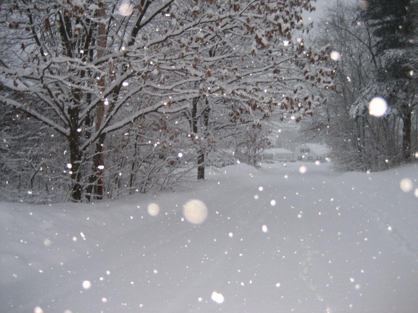 Winter Snow Storm Wallpapers - Top Free Winter Snow Storm Backgrounds ...