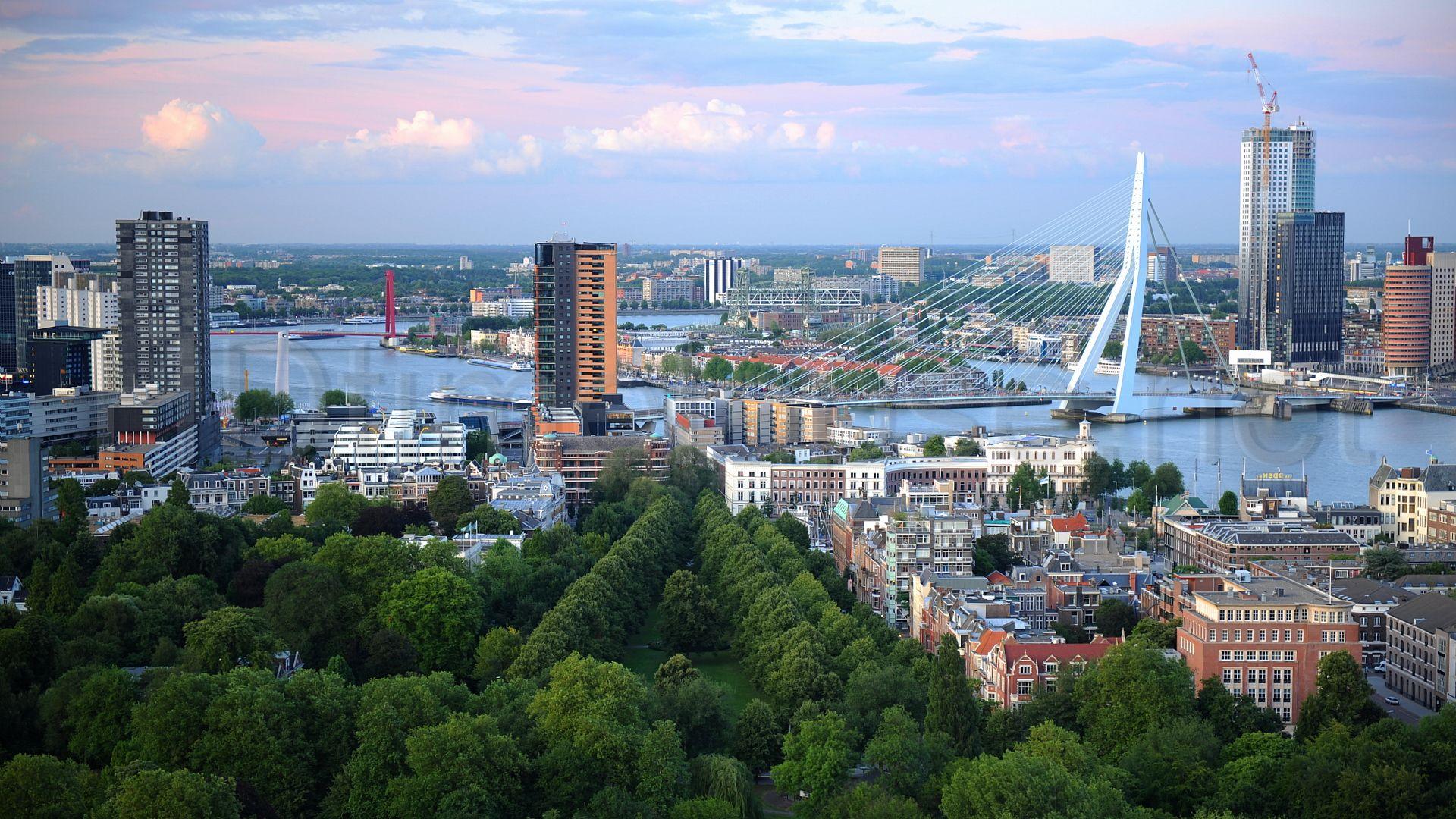 Rotterdam Wallpapers - Top Free Rotterdam Backgrounds - WallpaperAccess