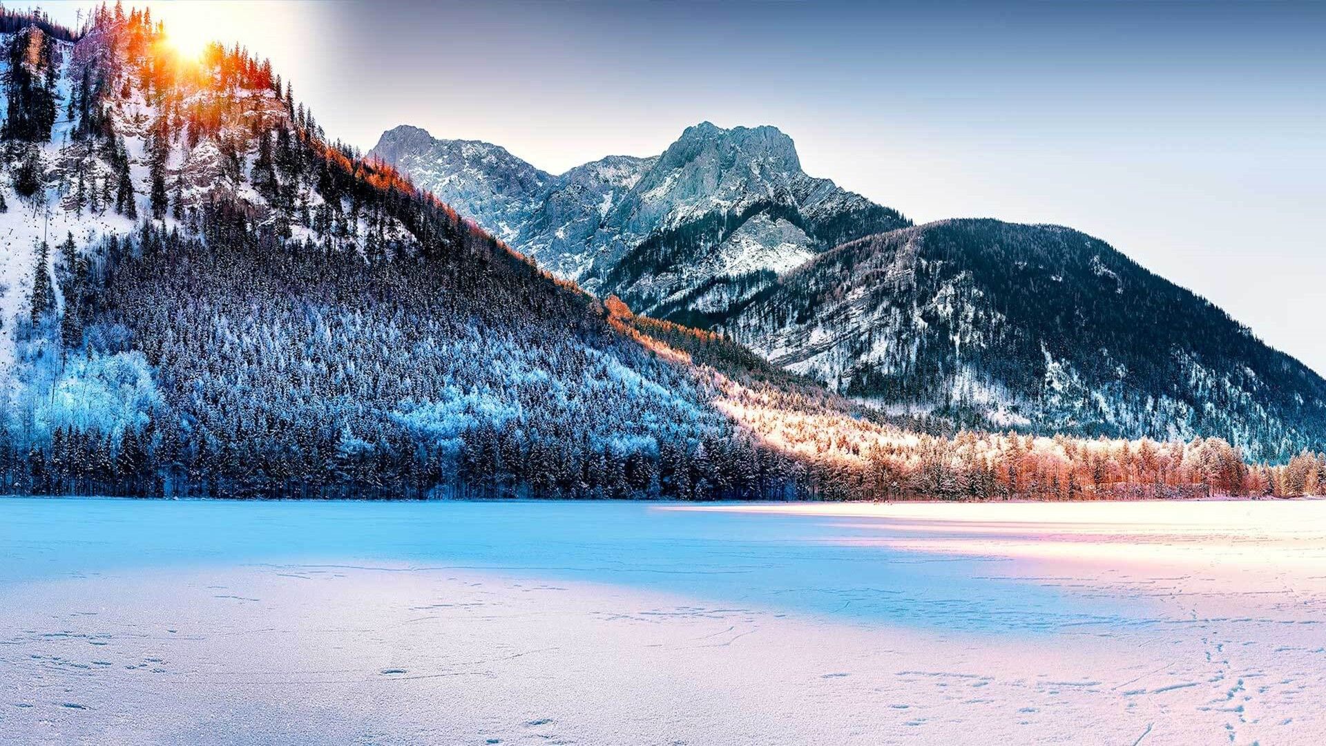 Google TV Wallpapers - Top Free Google TV Backgrounds - WallpaperAccess