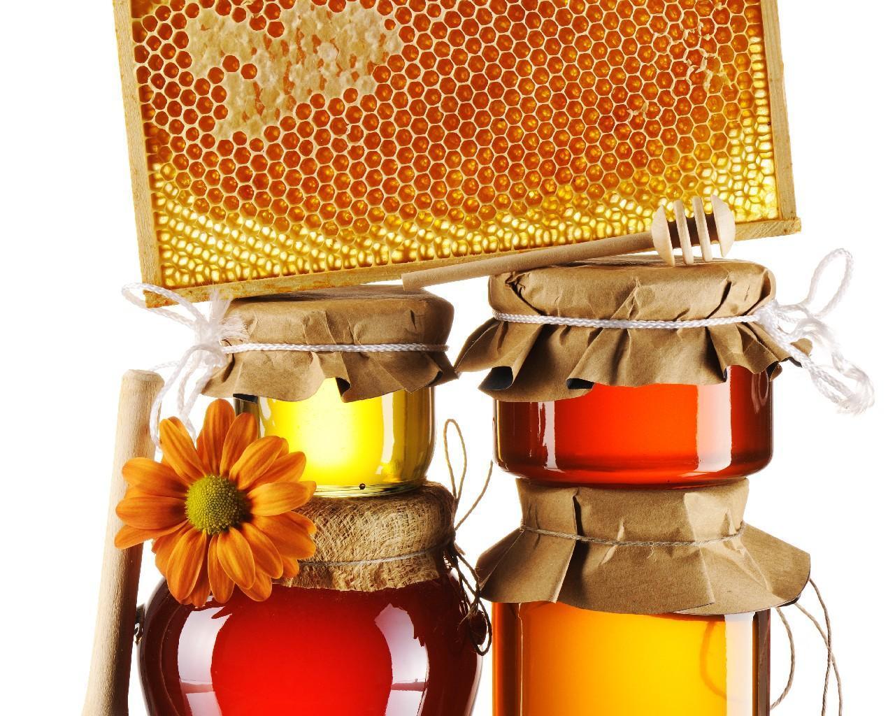 Honey Wallpapers - Top Free Honey Backgrounds - WallpaperAccess