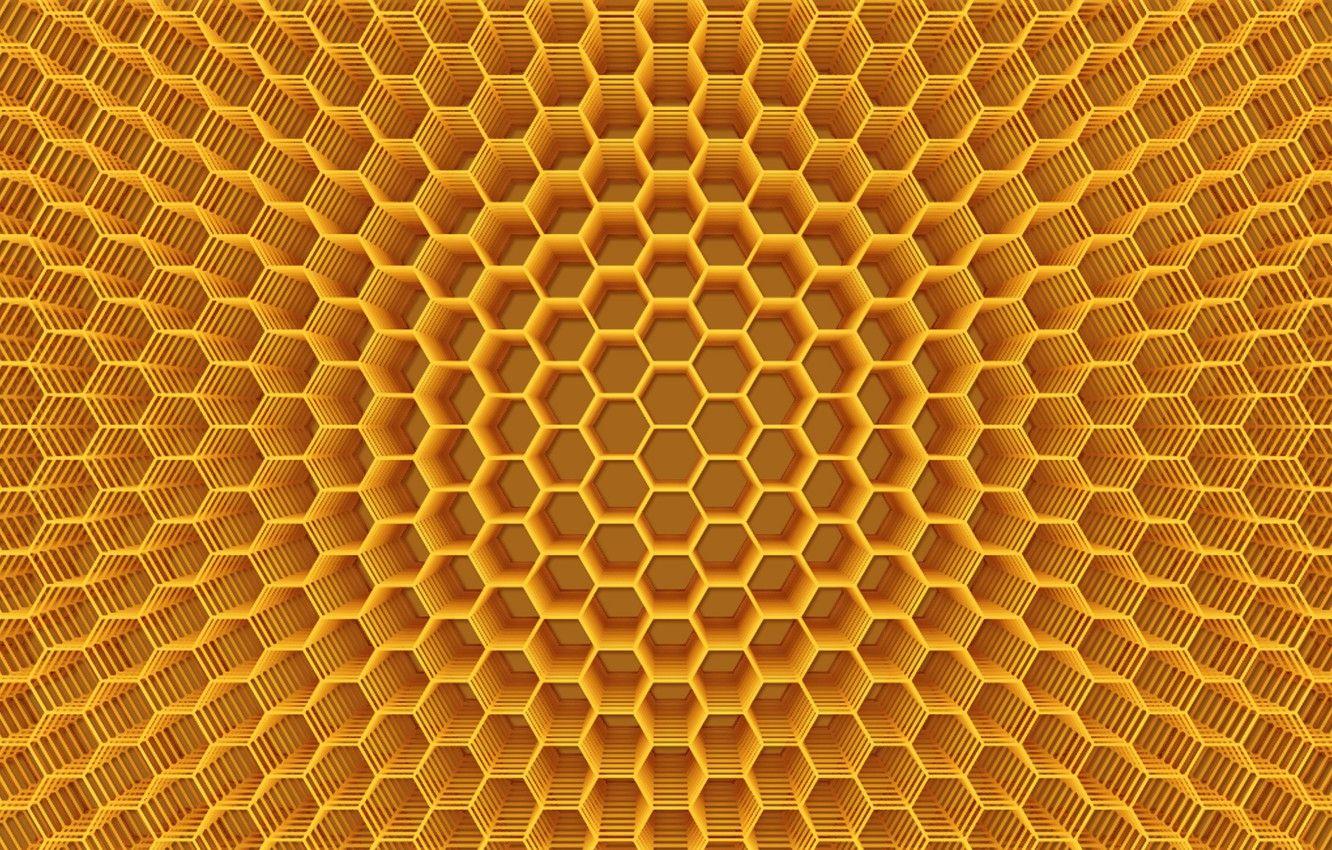 Honey Wallpapers - Top Free Honey Backgrounds - WallpaperAccess