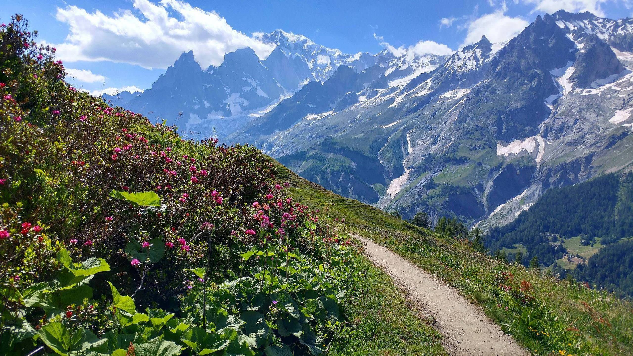 Tour Wallpapers - Top Free Tour Backgrounds - WallpaperAccess