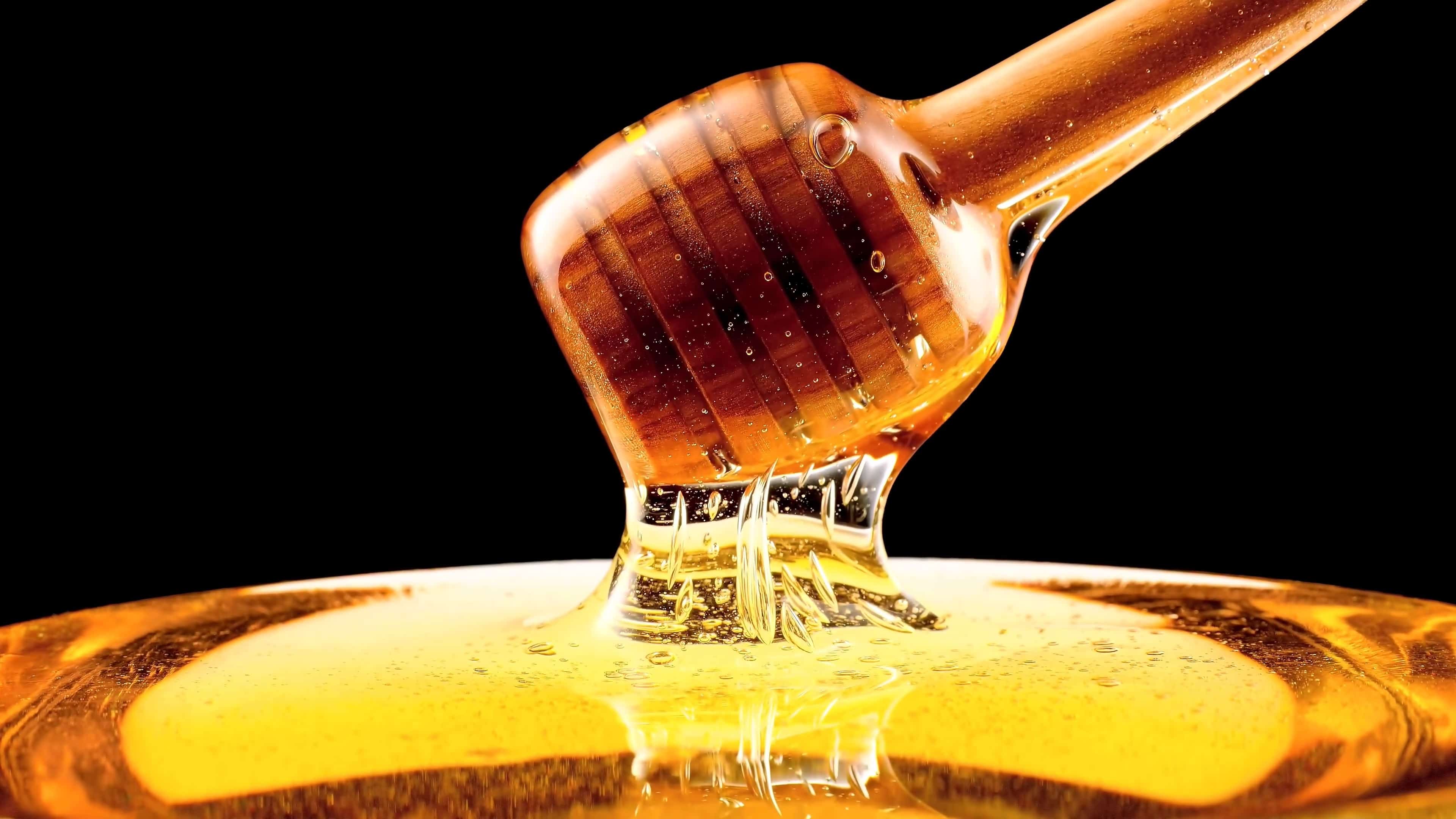 Honey Wallpapers - Top Free Honey Backgrounds - WallpaperAccess