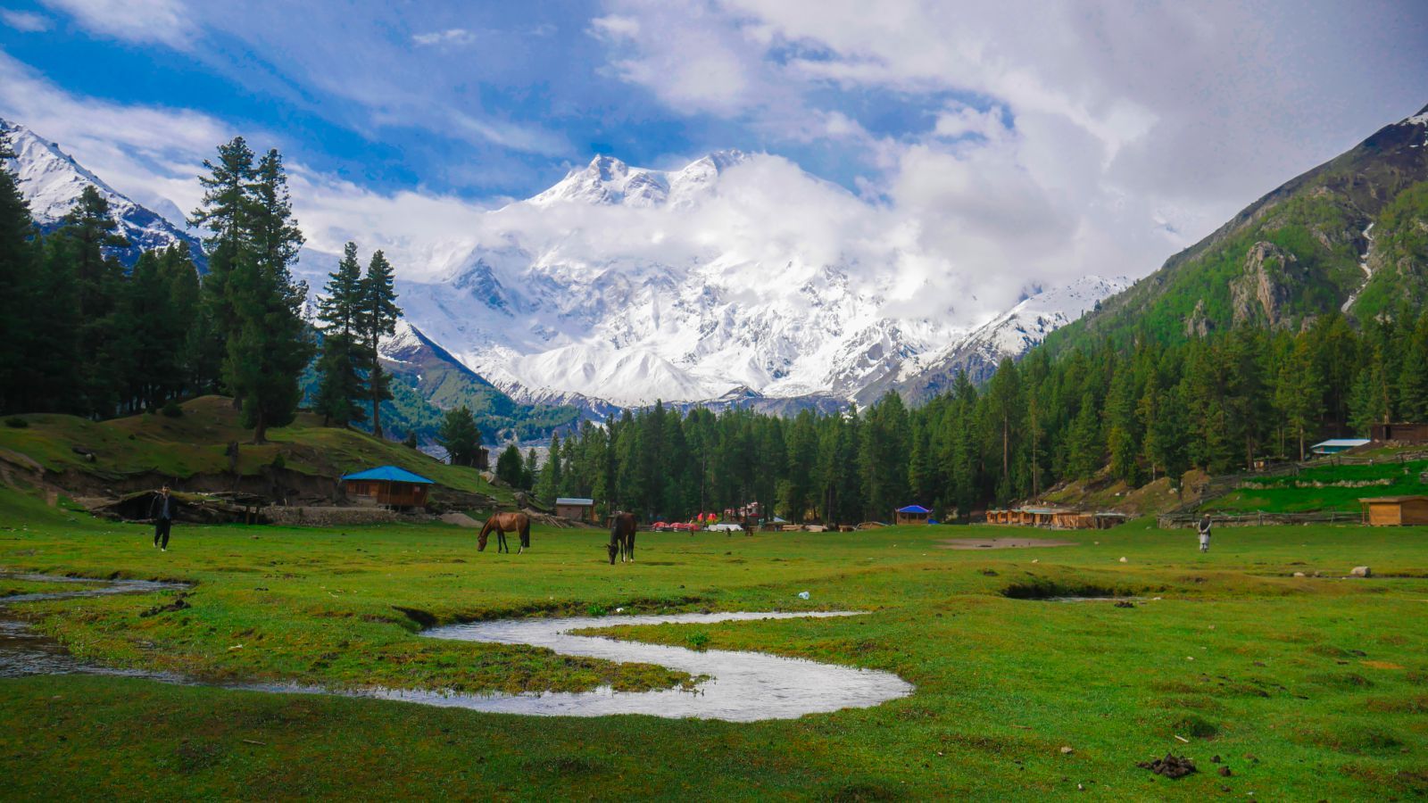 Gilgit Wallpapers - Top Free Gilgit Backgrounds - WallpaperAccess