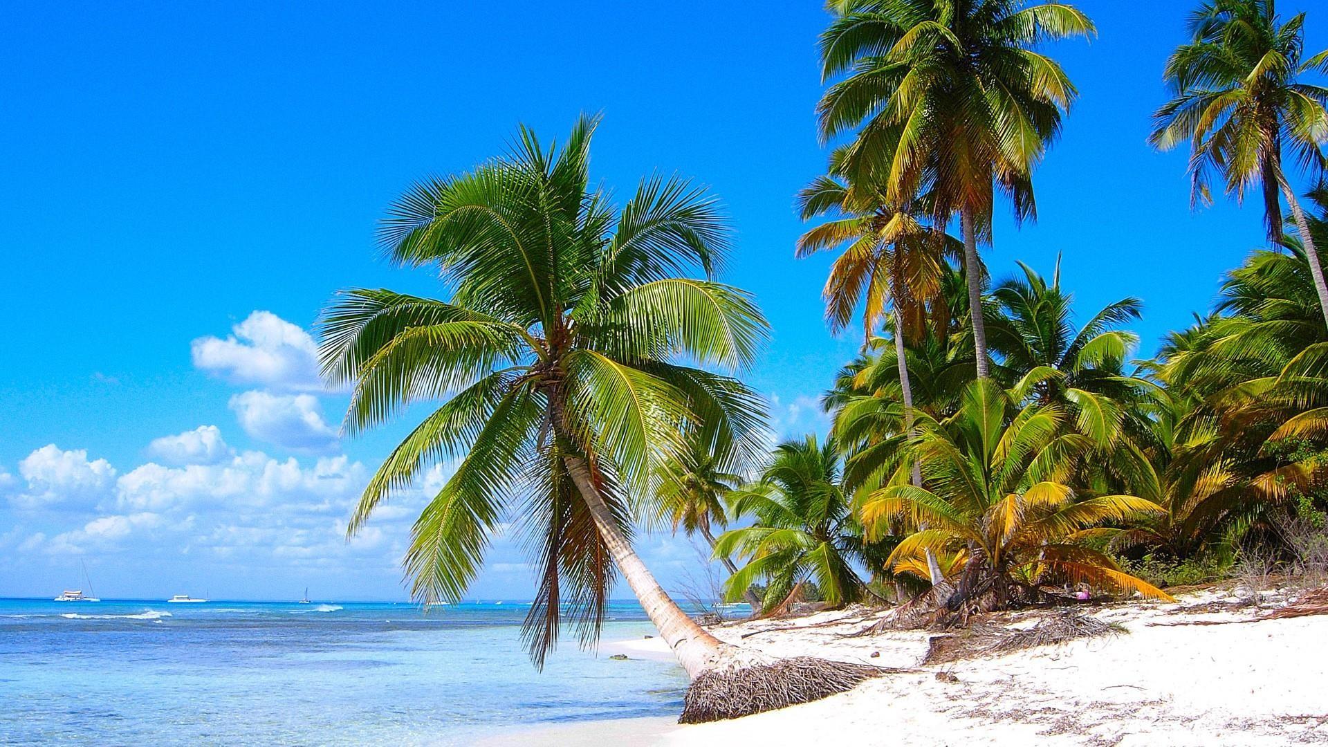 Dominican Republic Wallpapers - Top Free Dominican Republic Backgrounds ...