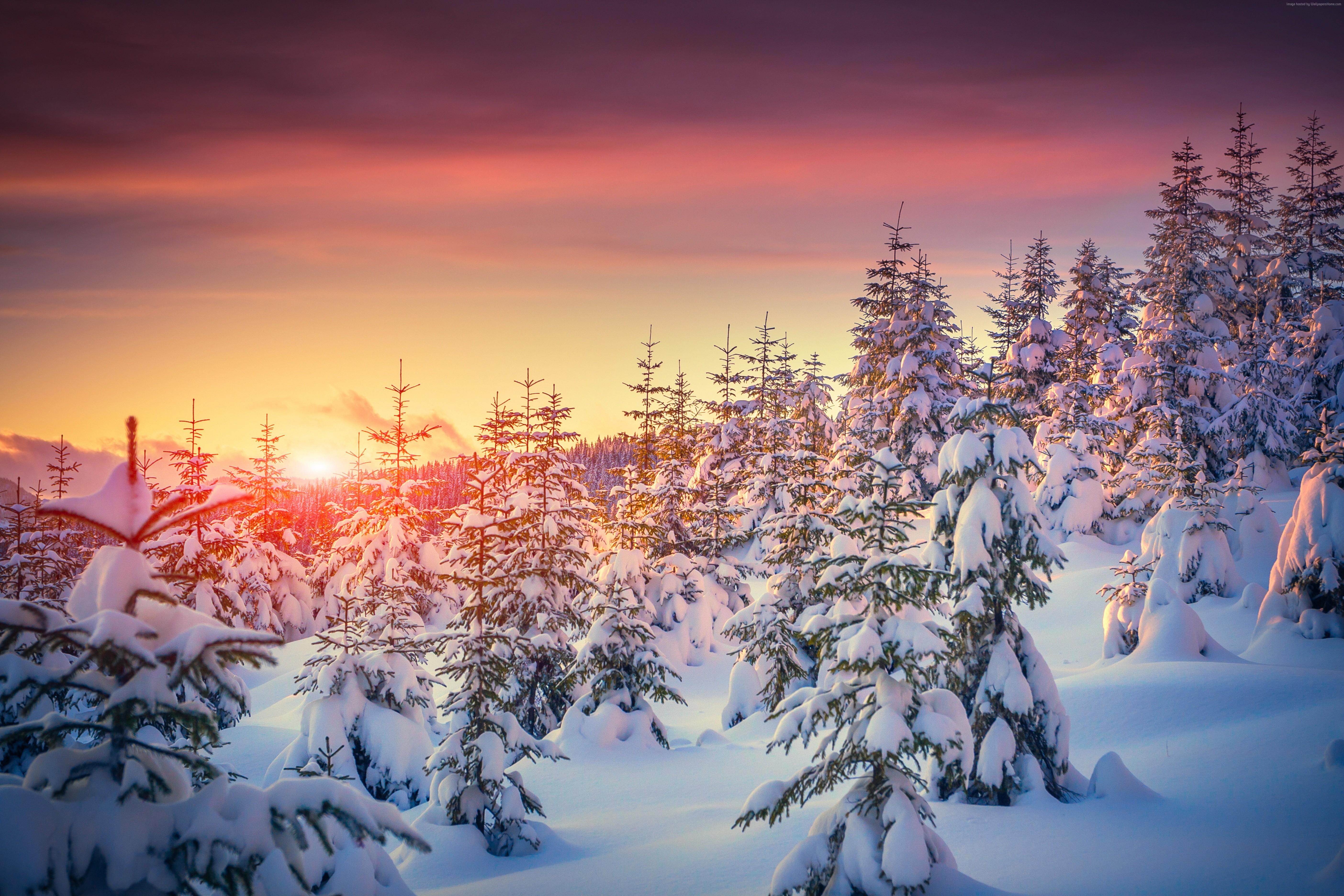 Snow Sunset Wallpapers - Top Free Snow Sunset Backgrounds - WallpaperAccess