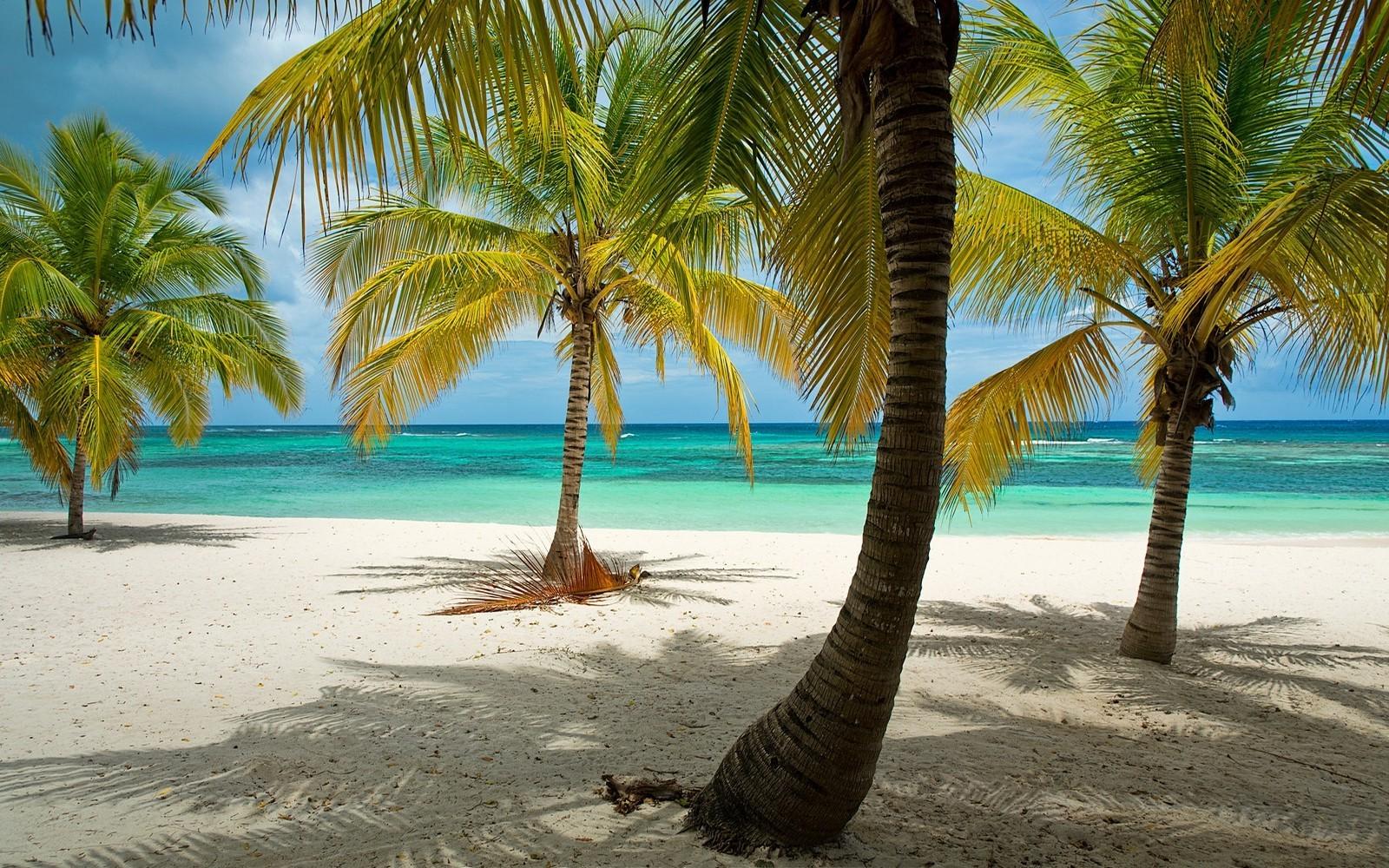 Dominican Republic Beaches Wallpapers - Top Free Dominican Republic ...