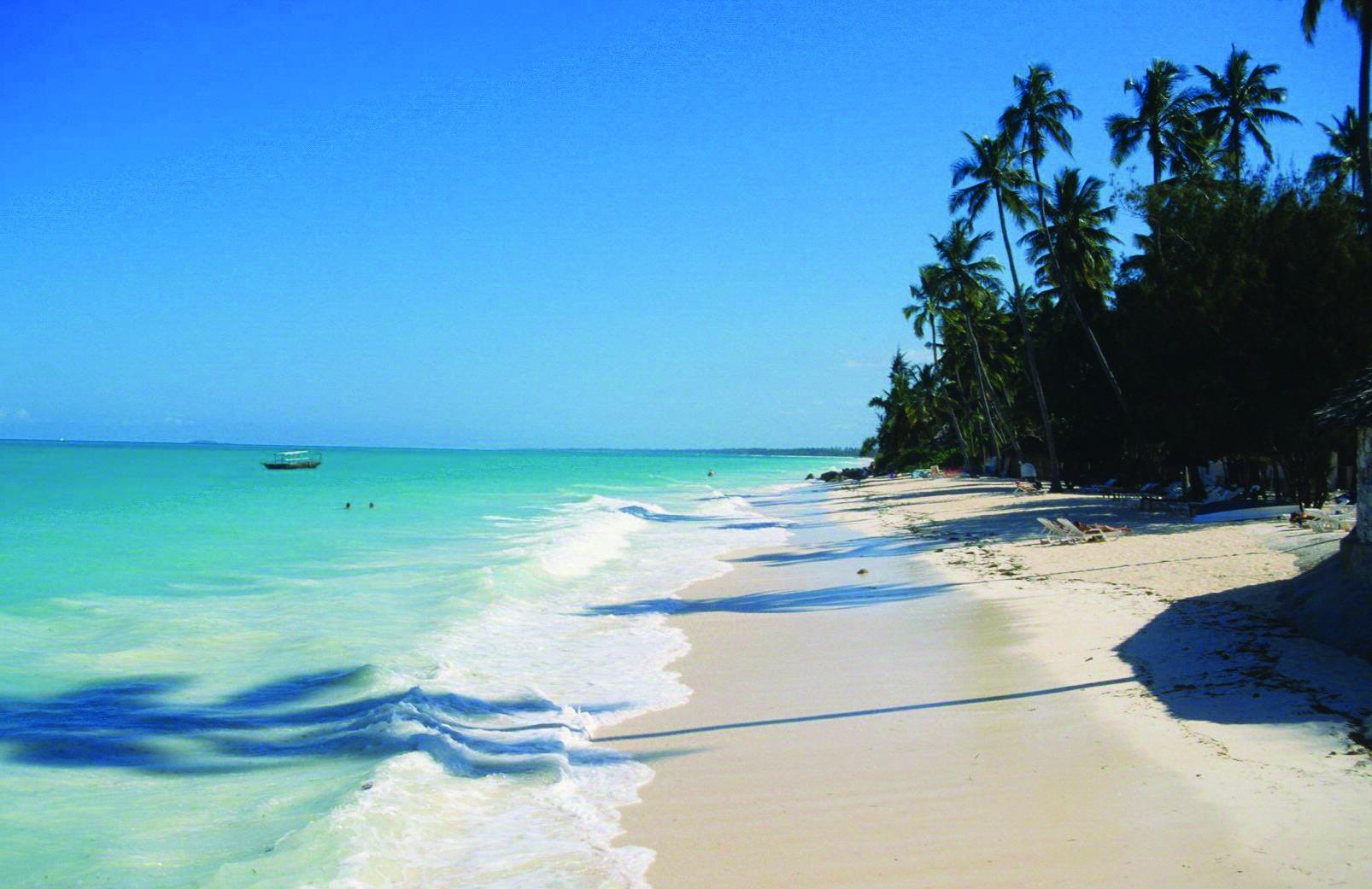 Tanzania Wallpapers - Top Free Tanzania Backgrounds - WallpaperAccess