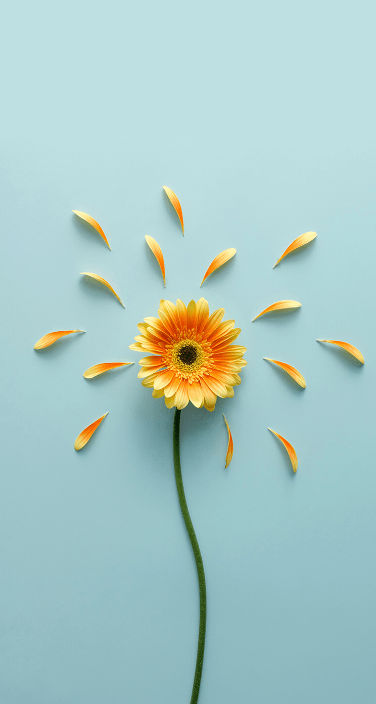 Cute Plant Wallpapers - Top Free Cute Plant Backgrounds - WallpaperAccess