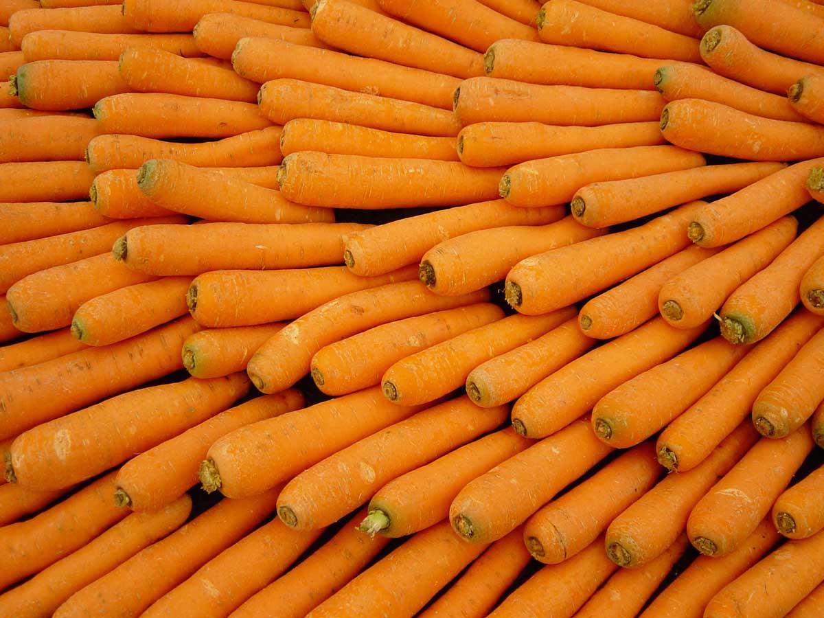 Carrot Wallpapers - Top Free Carrot Backgrounds - WallpaperAccess