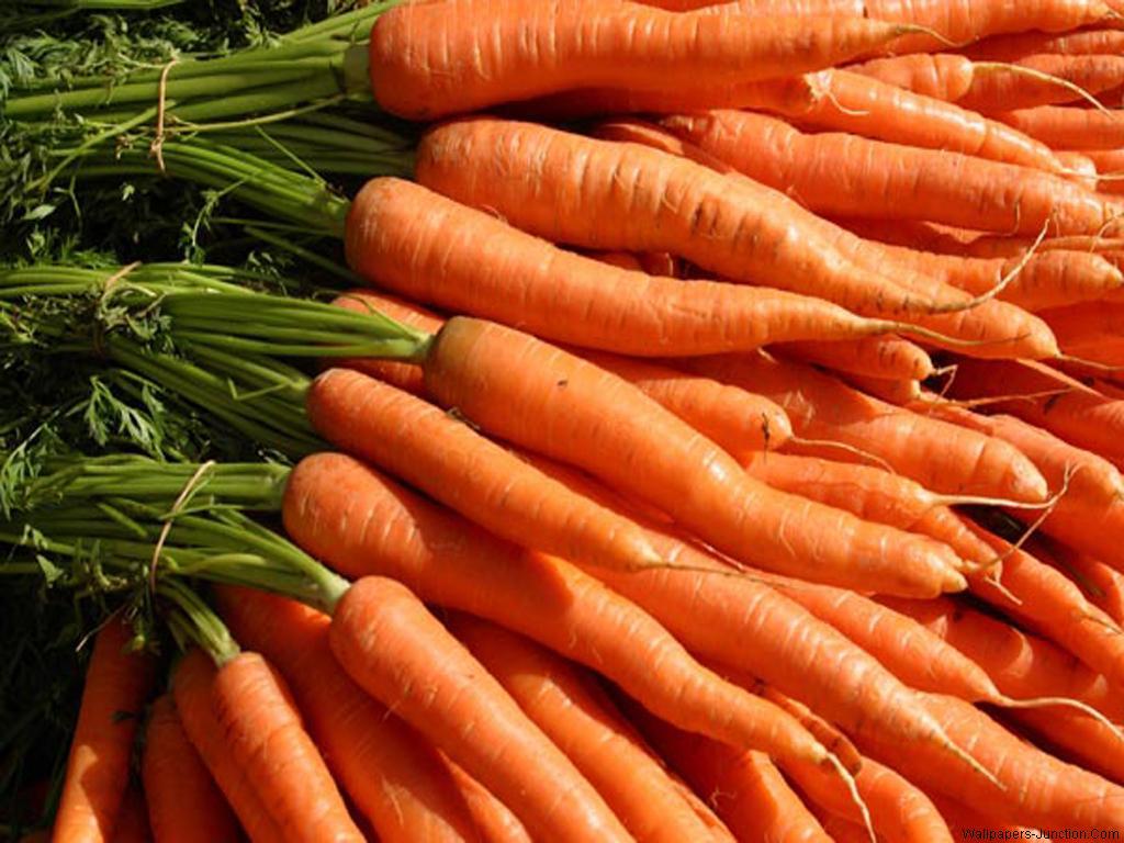 Carrot Wallpapers - Top Free Carrot Backgrounds - WallpaperAccess