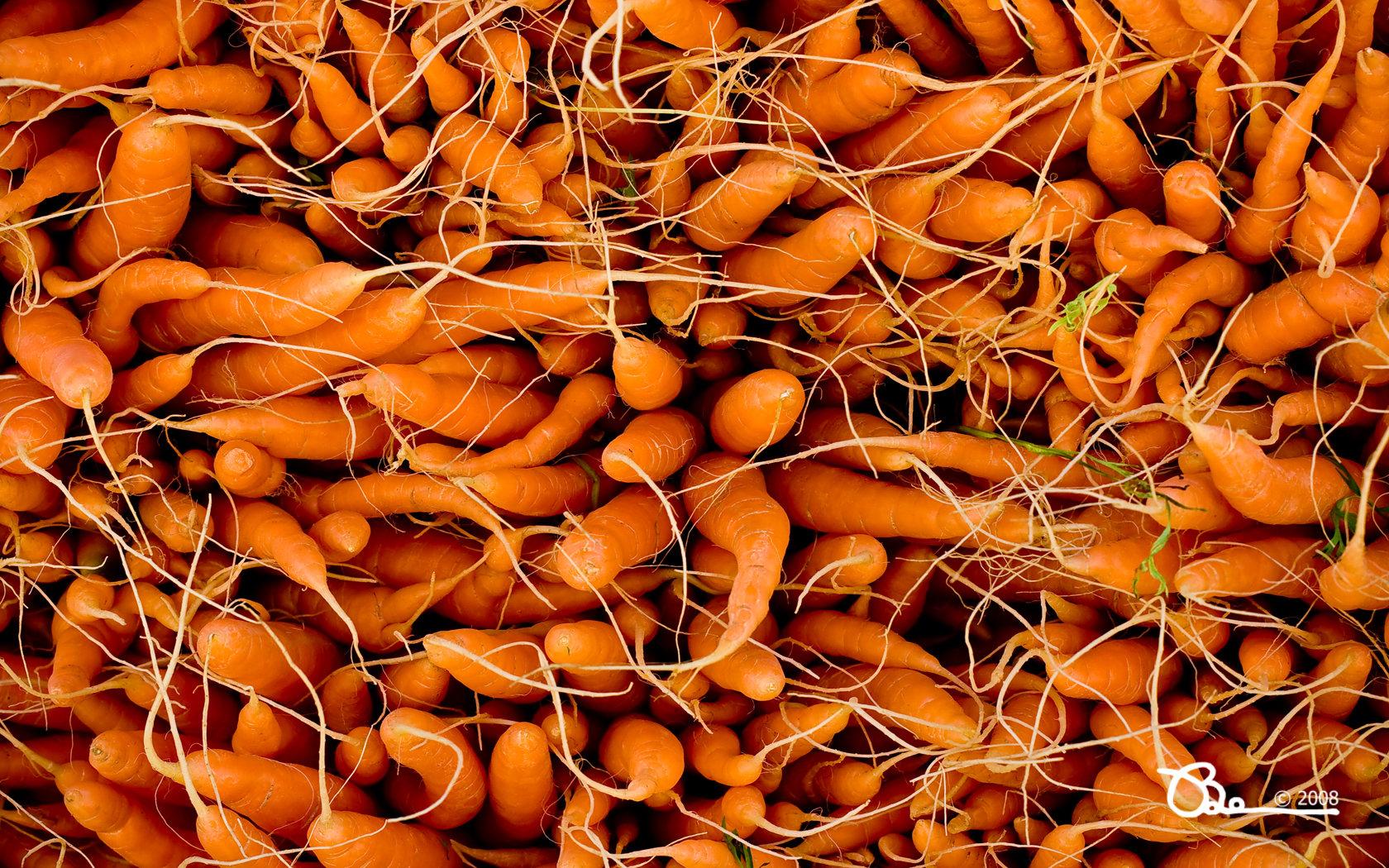 Carrot Wallpapers - Top Free Carrot Backgrounds - WallpaperAccess