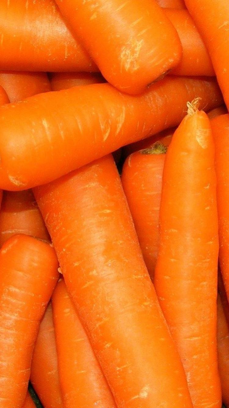 Carrot Wallpapers - Top Free Carrot Backgrounds - WallpaperAccess