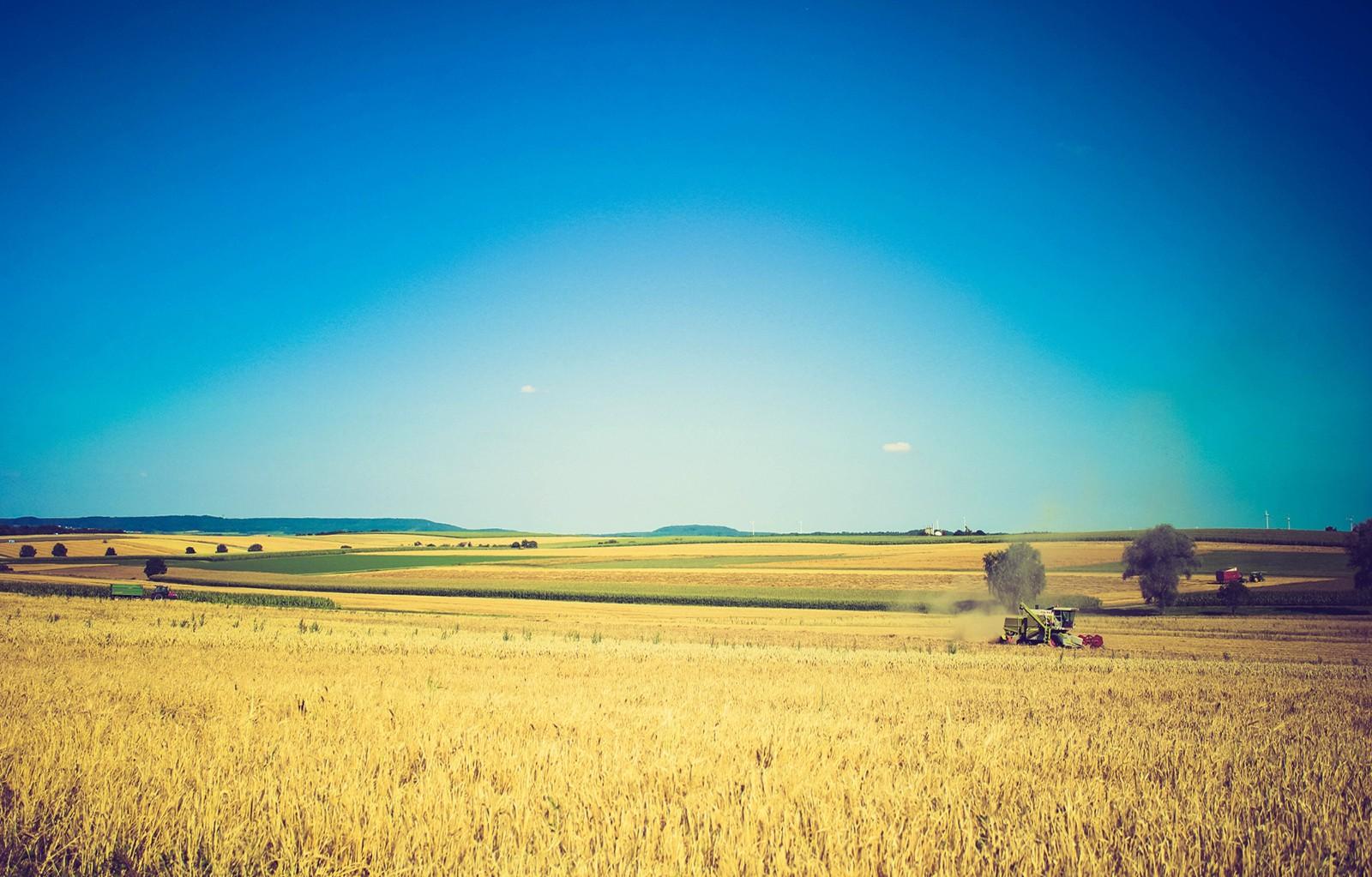 Agriculture Wallpapers - Top Free Agriculture Backgrounds - WallpaperAccess