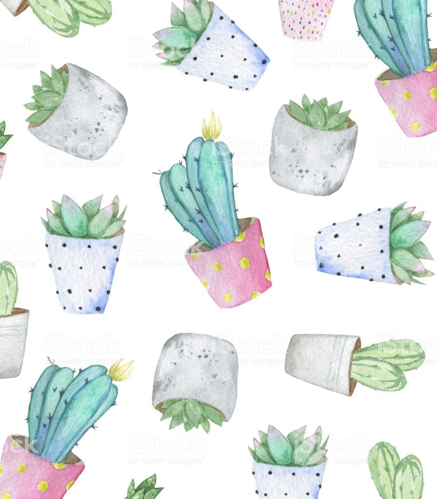 Cute Cactus Wallpapers - Top Free Cute Cactus Backgrounds - WallpaperAccess