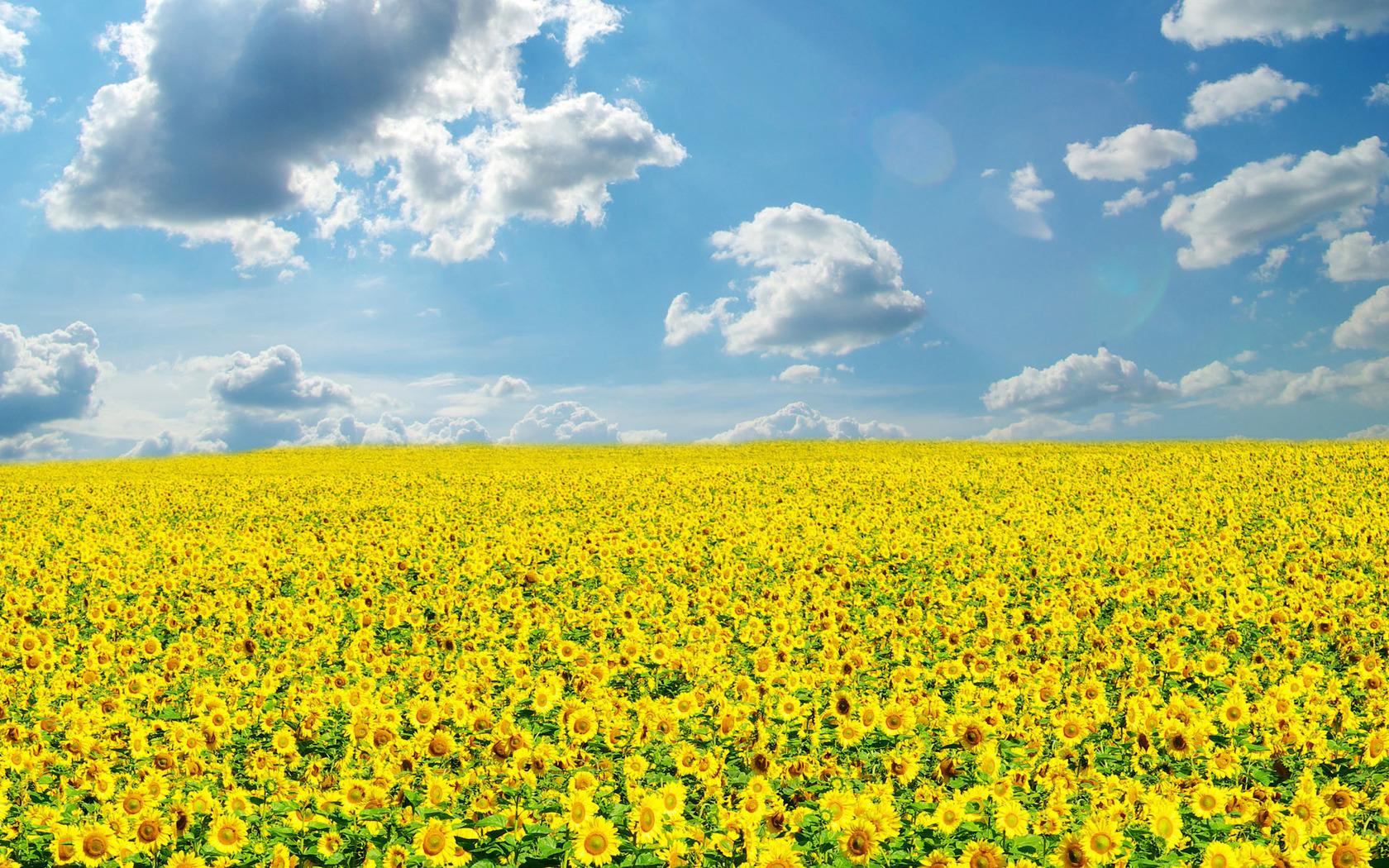 Farm HD Wallpapers - Top Free Farm HD Backgrounds - WallpaperAccess