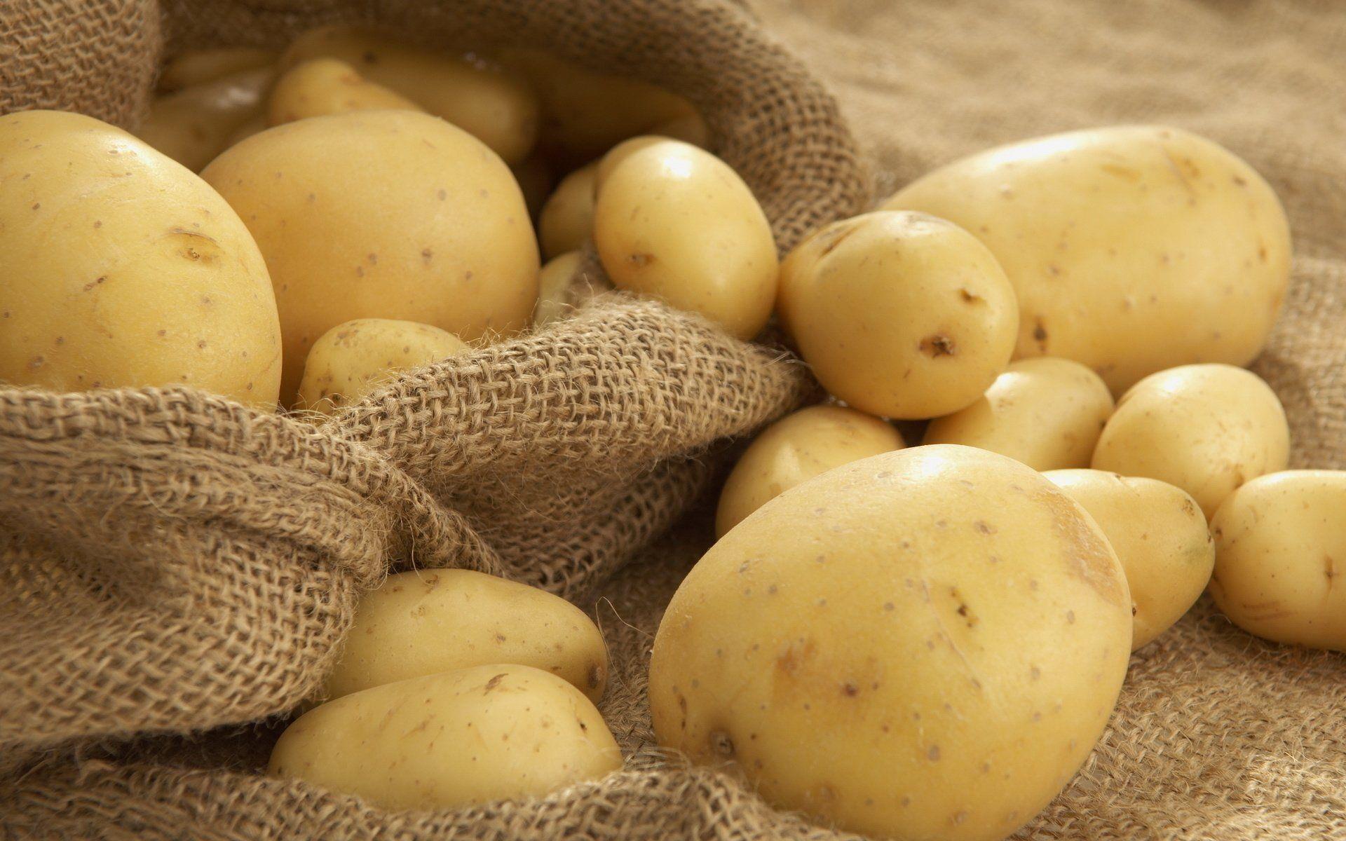 Potatoes Wallpapers - Top Free Potatoes Backgrounds - WallpaperAccess