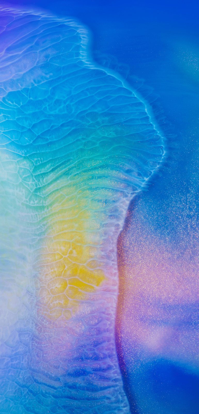 Vivid Wallpapers - Top Free Vivid Backgrounds - WallpaperAccess