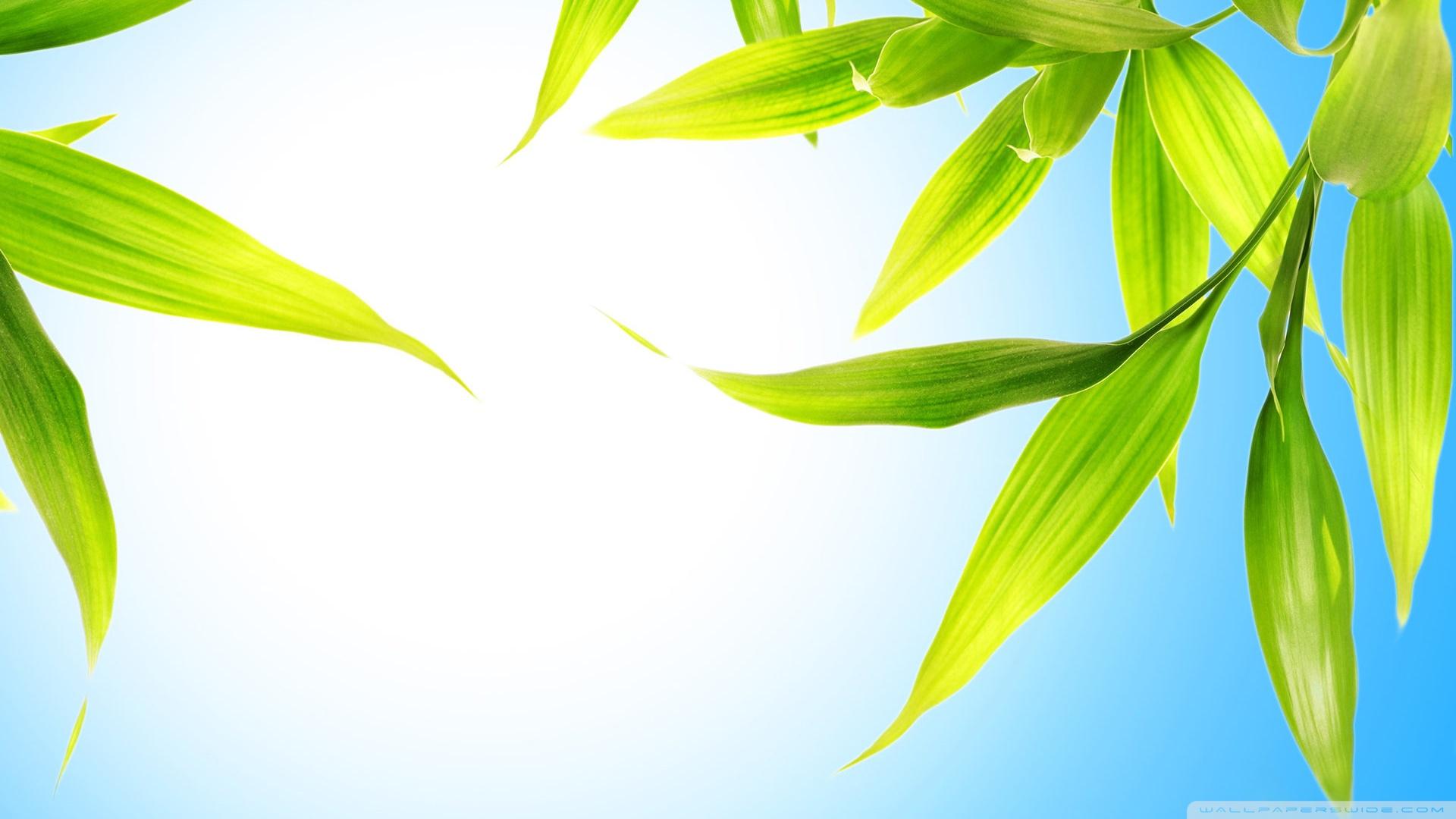 Vivid Wallpapers - Top Free Vivid Backgrounds - WallpaperAccess