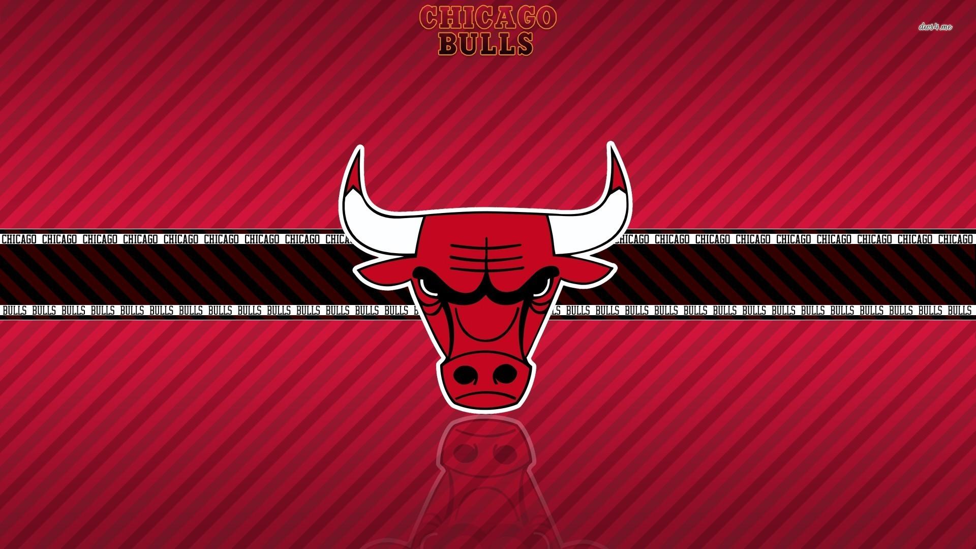 Chicago Bulls Logo Wallpapers - Top Free Chicago Bulls Logo Backgrounds ...