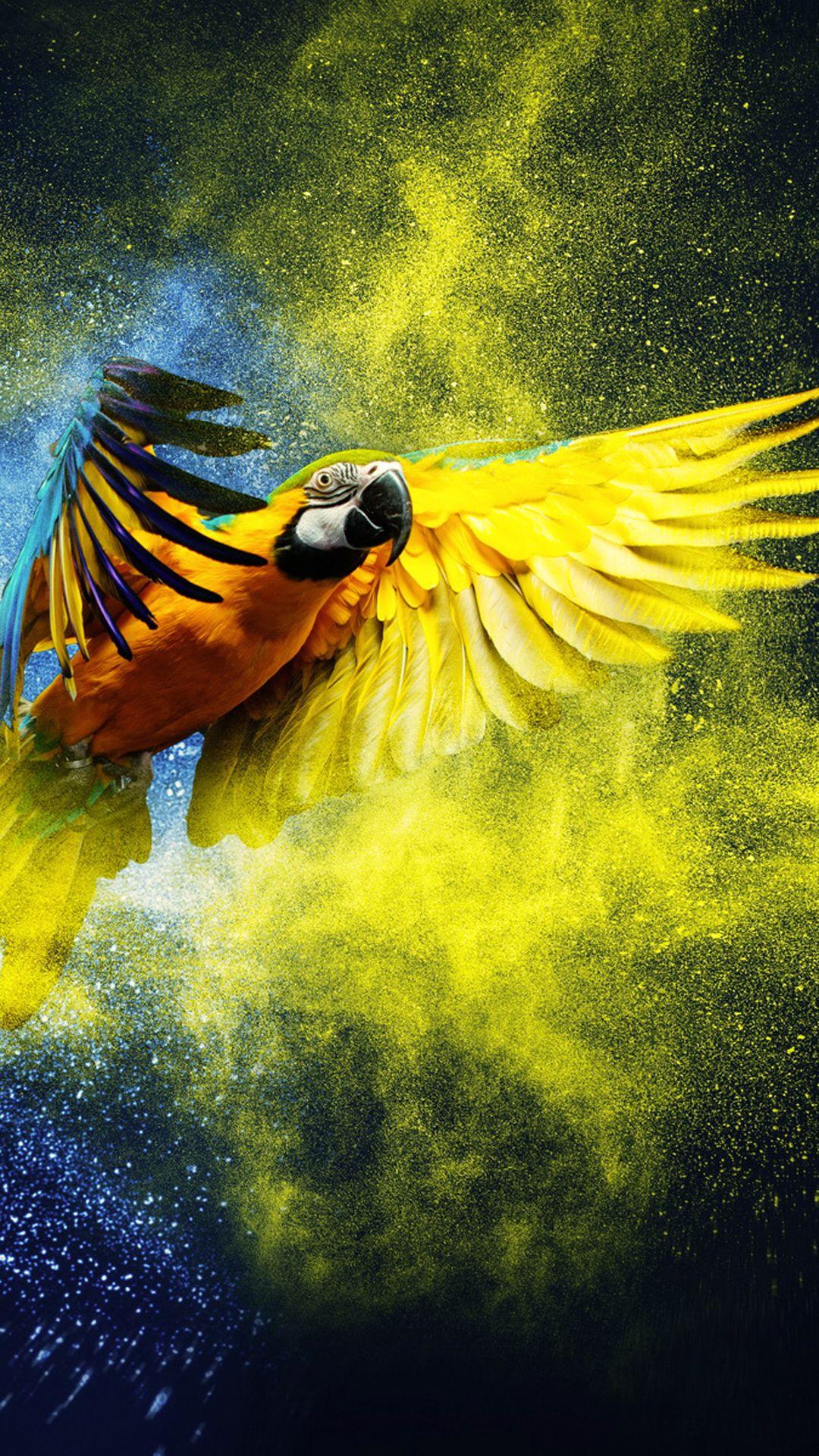 Parrot Security Wallpapers - Top Free Parrot Security Backgrounds ...